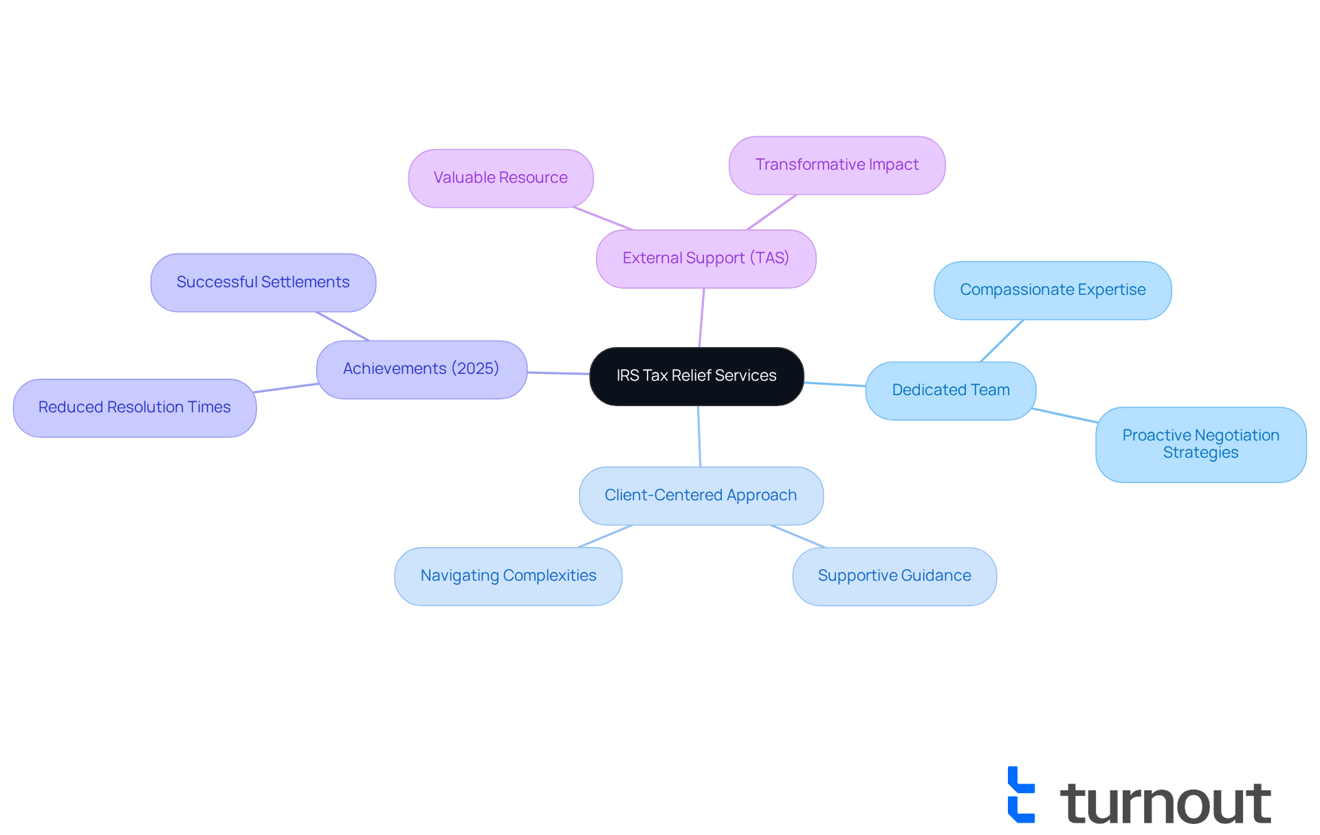 The central node represents the main service offered. The branches show different aspects of the service, from team dedication to achievements, helping you see how everything connects.