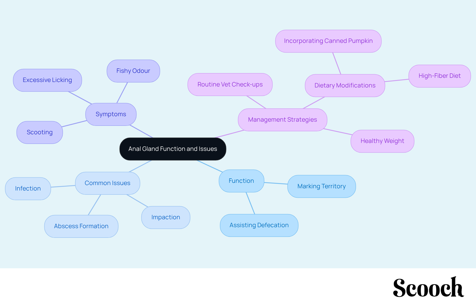 The central node represents the overall topic, while the branches show different aspects of anal gland health. Each color-coded branch helps you easily identify functions, issues, symptoms, and management strategies related to your dog's anal glands.