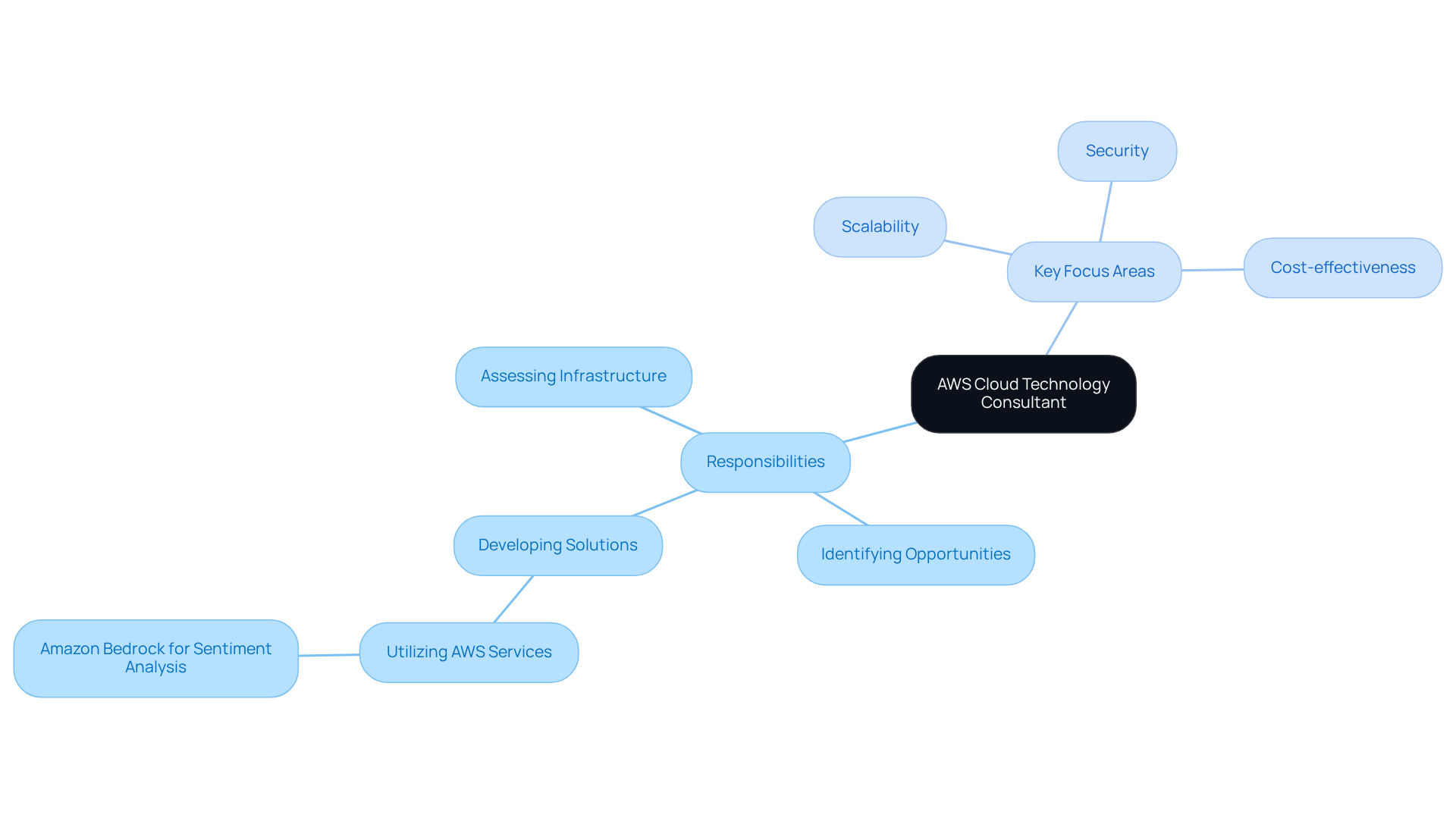 The center represents the consultant's role, with branches showing their main responsibilities and focus areas. Each branch highlights what they do and what they prioritize to help organizations leverage AWS effectively.