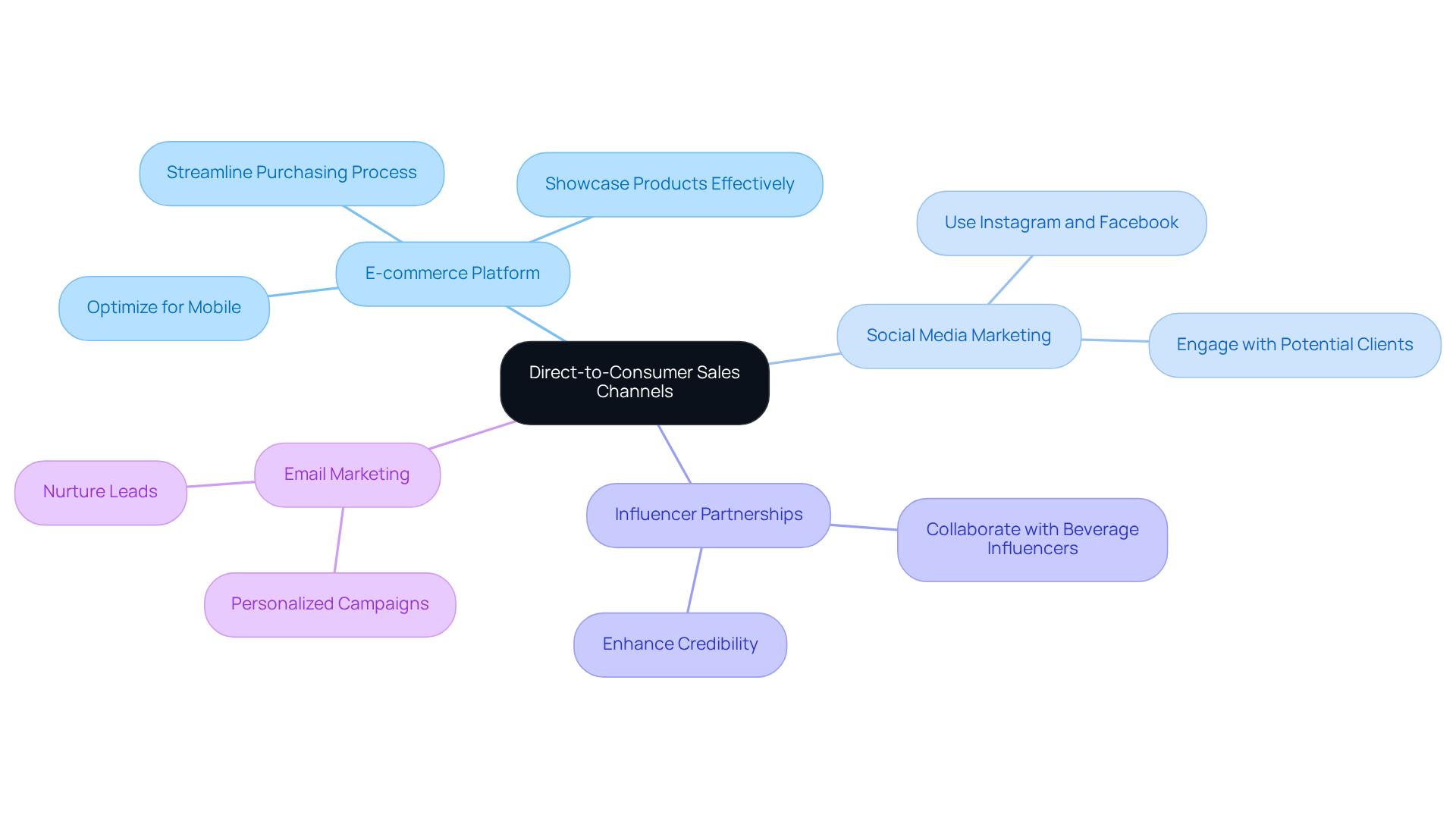 The central idea focuses on direct-to-consumer sales. Each branch represents a key strategy, and the sub-branches detail specific actions or tactics — follow the branches to see how they connect and support the main goal.