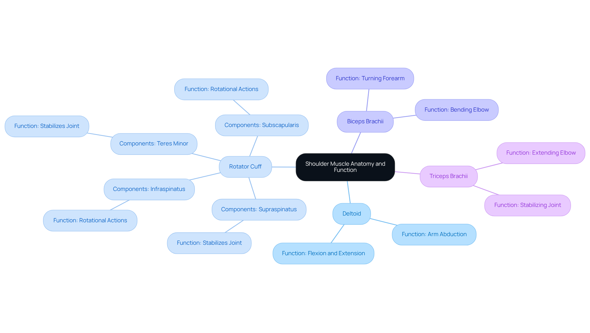 This mindmap starts with the central theme of shoulder muscle anatomy. Each branch represents a major muscle group, and the sub-branches explain what each muscle does. This visual helps you see how these muscles work together and why they are important for movement and daily activities.