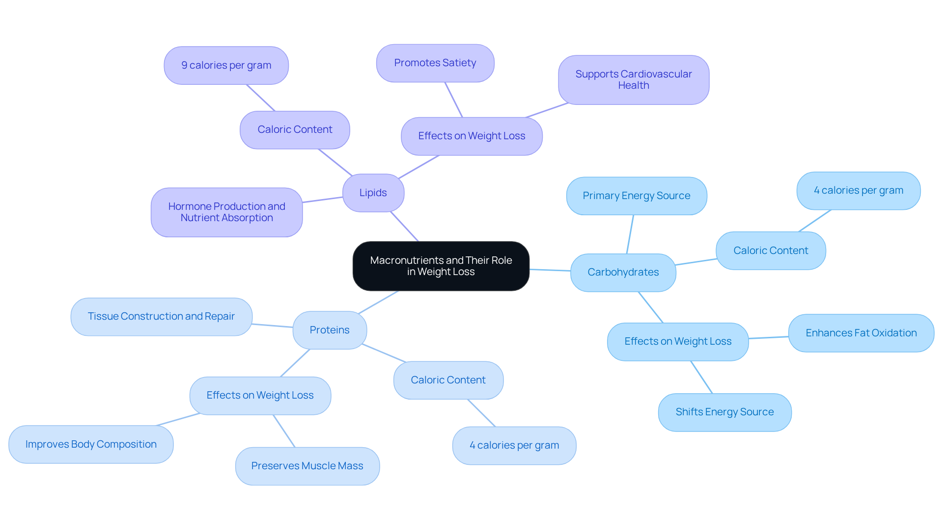 This mindmap illustrates the three main types of macronutrients and their unique roles in weight loss. Each branch represents a type of macronutrient, and the sub-branches provide details on how they contribute to energy, metabolism, and overall health. Follow the branches to see how each nutrient supports your weight loss journey.