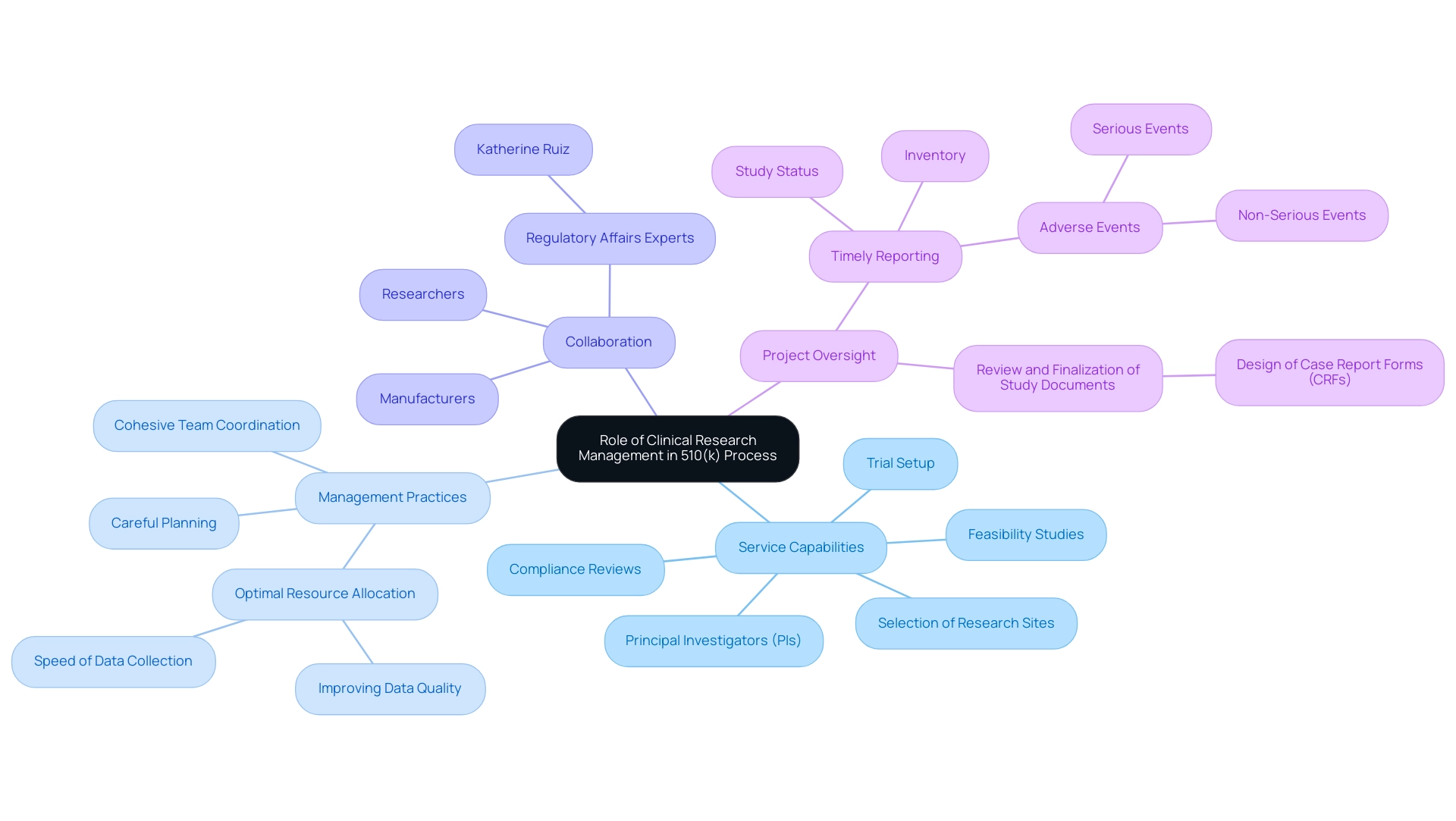 The central node represents the main role, with branches indicating service capabilities, management practices, collaboration efforts, and oversight processes.