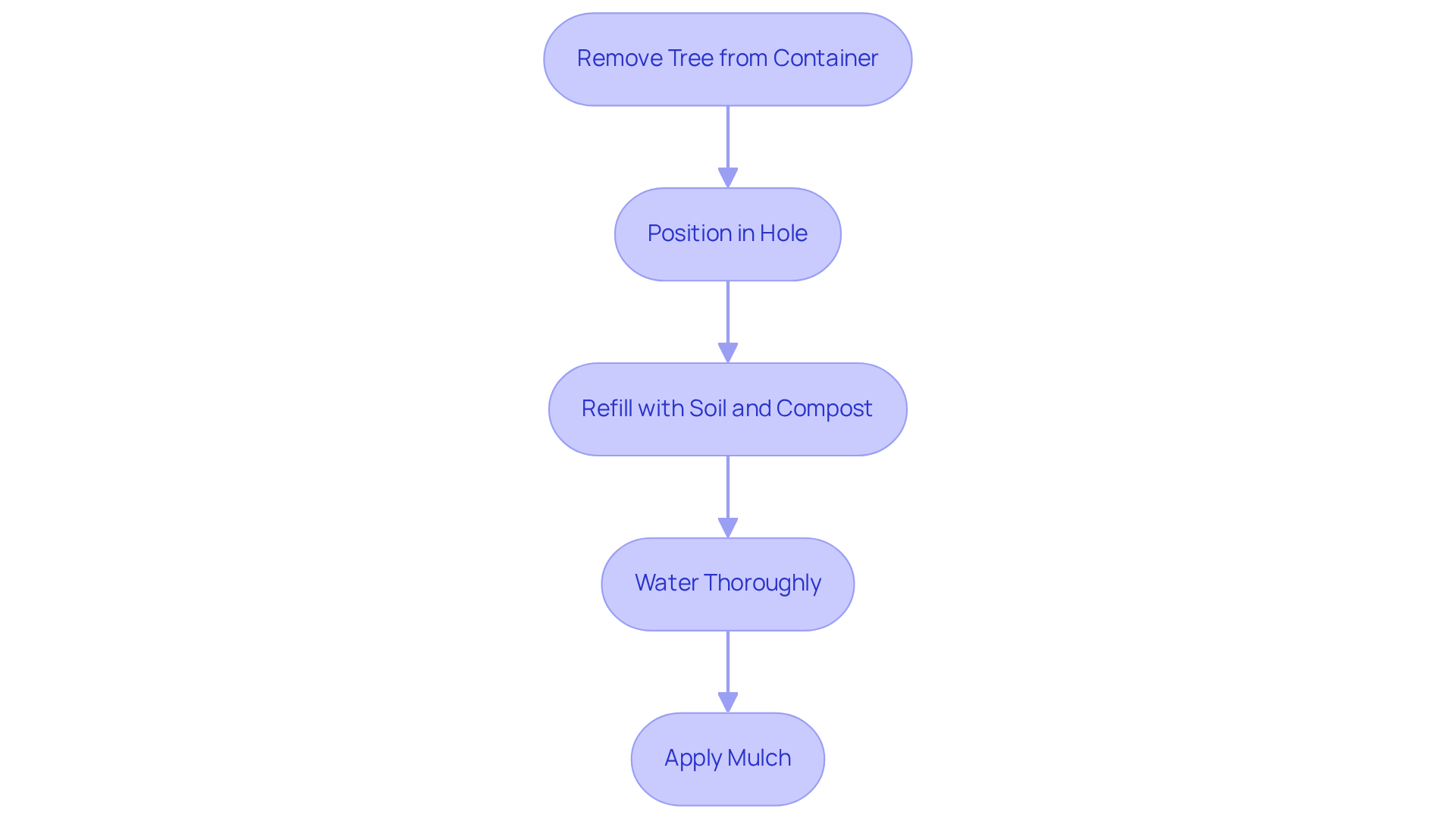 Each box shows a specific step in the planting process, guiding you through what to do next. Just follow the arrows to see how to successfully plant your tree!