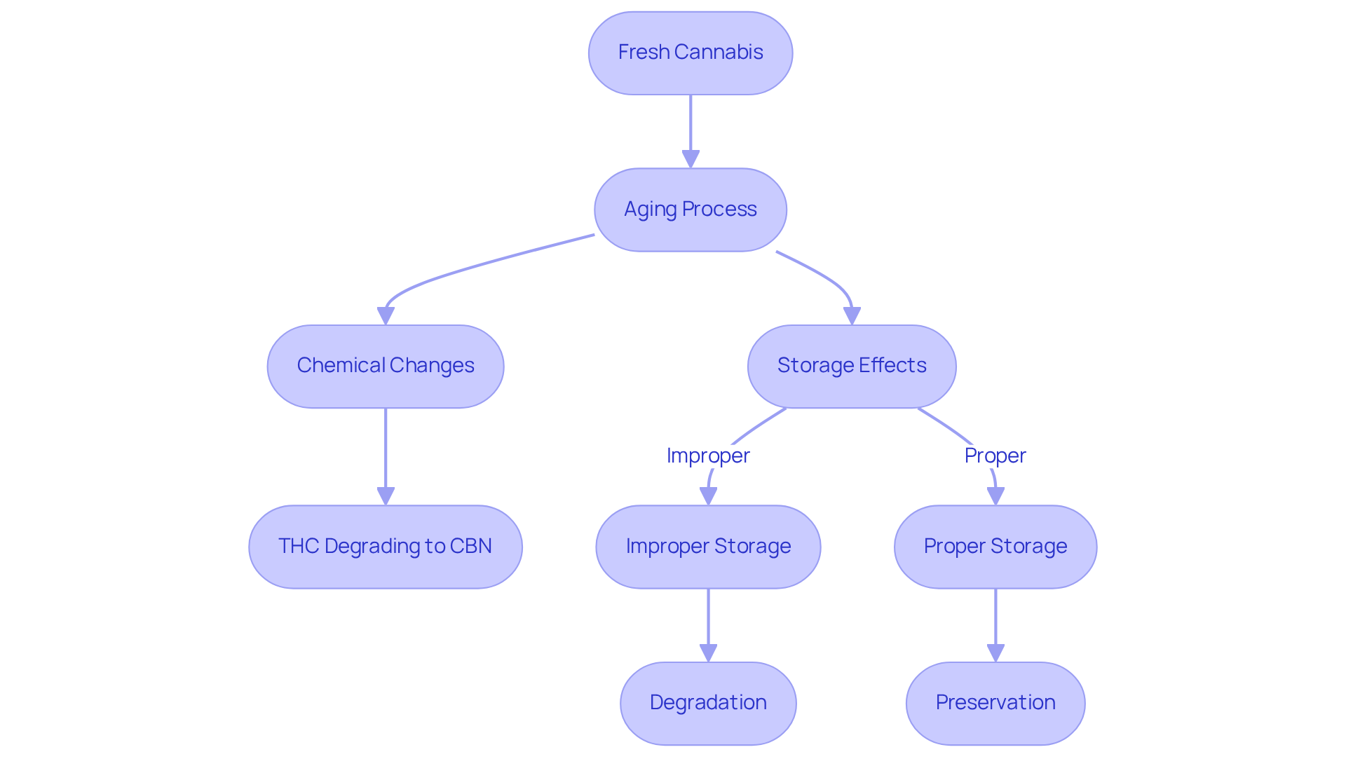 This flowchart shows how cannabis changes as it ages. Start with fresh cannabis, then see how it ages over time, what happens to THC, and how storage methods can affect its quality — follow the arrows to understand the process.