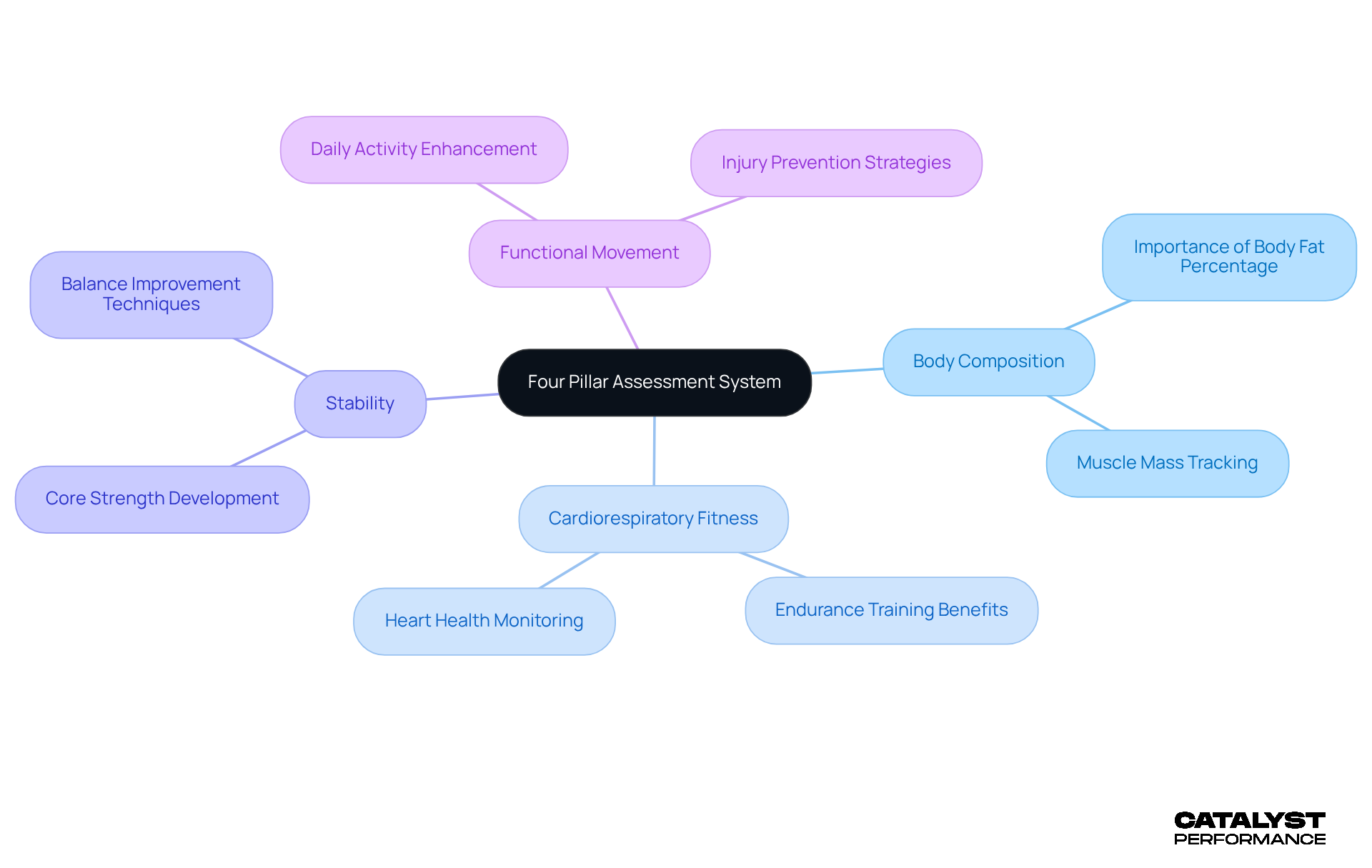 The central node represents the assessment system, while the branches show the four key areas of focus. Each area contributes to a personalized training approach, helping you understand how to improve your health and fitness. The central node represents the assessment system, while the branches show the four key areas of focus. Each area contributes to a personalized training approach, helping you understand how to improve your health and fitness.