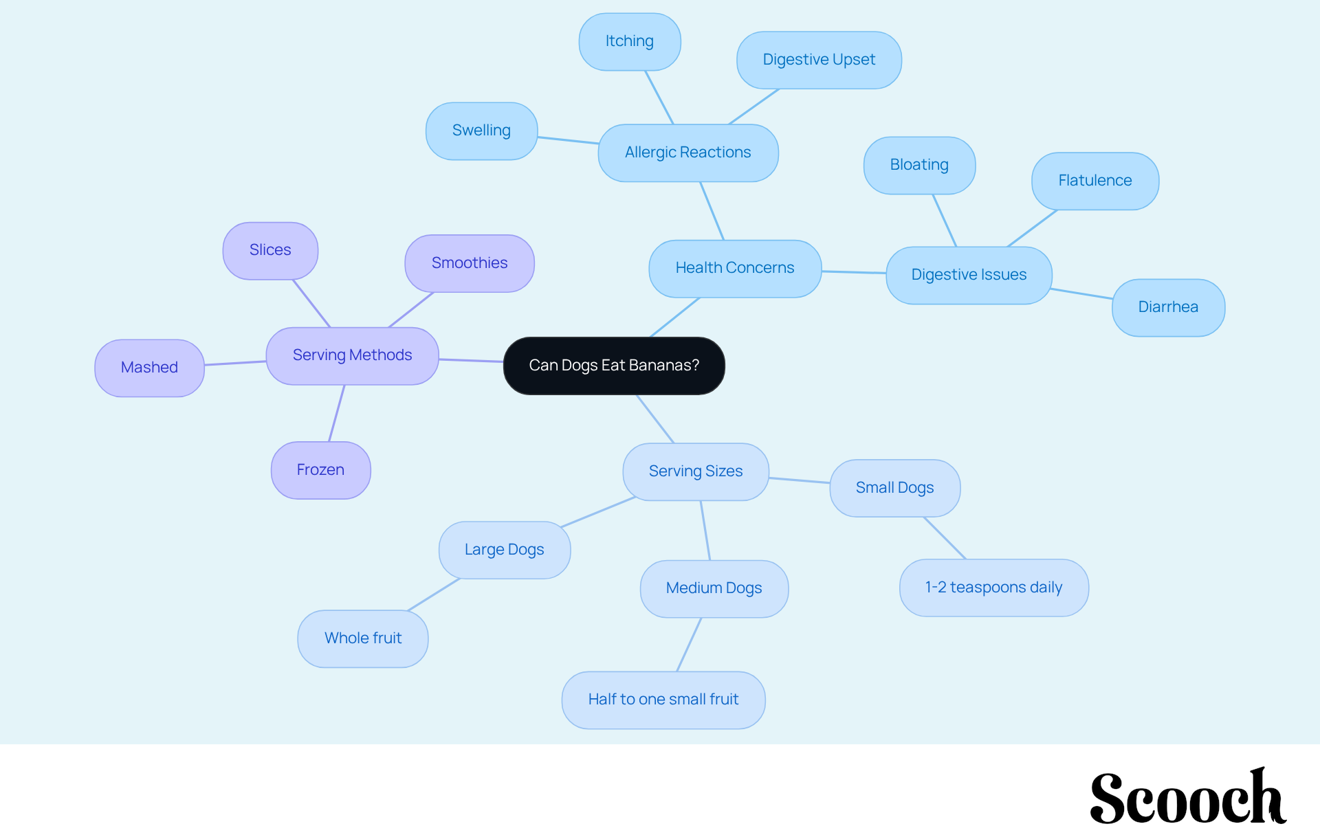 Can Dogs Eat Bananas in the UK? Benefits and Safety Tips