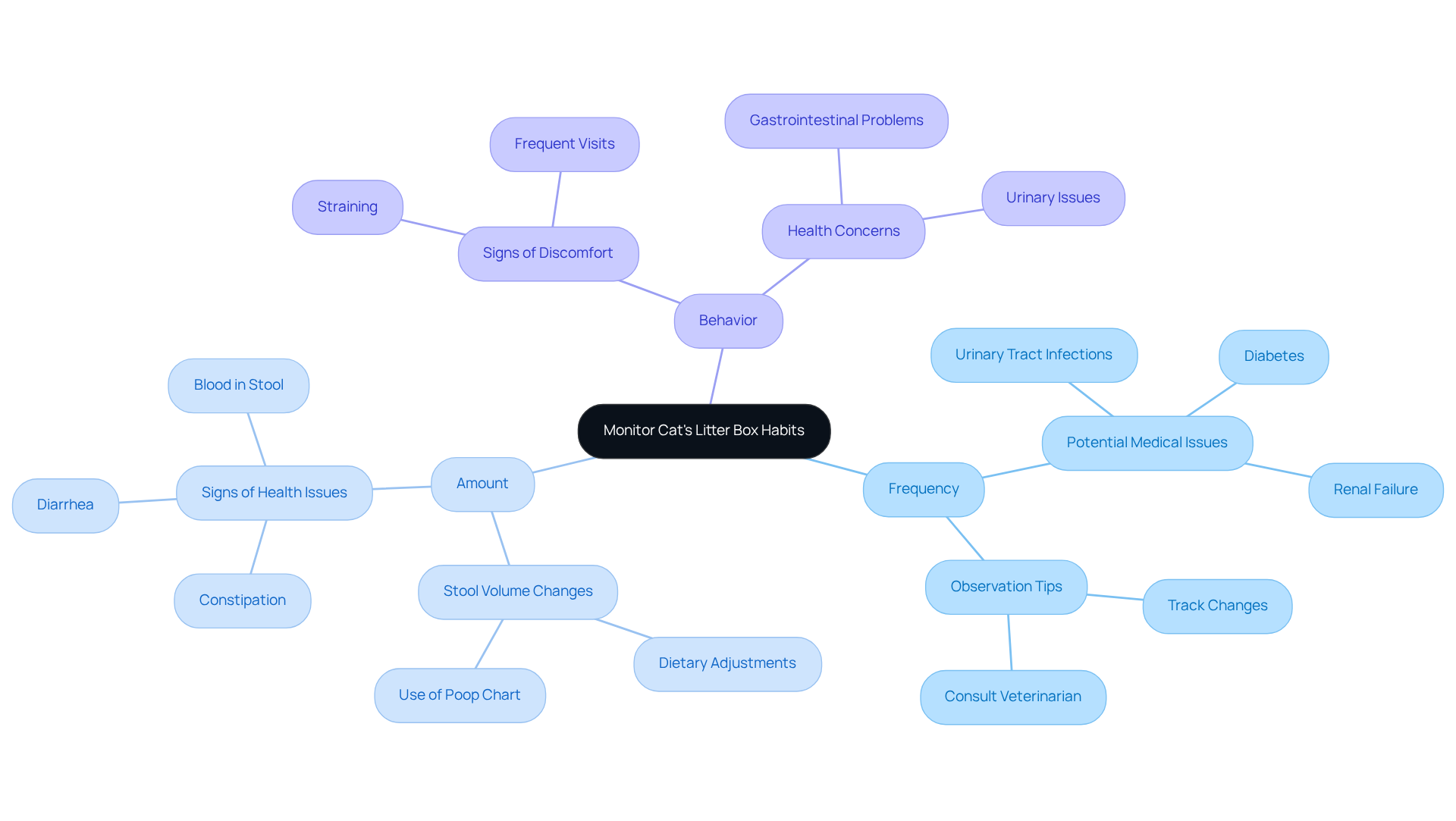 Start with the central idea of monitoring your cat's litter box habits, then explore the key areas that affect their health. Each branch leads to important details that can help you understand your cat's well-being better.