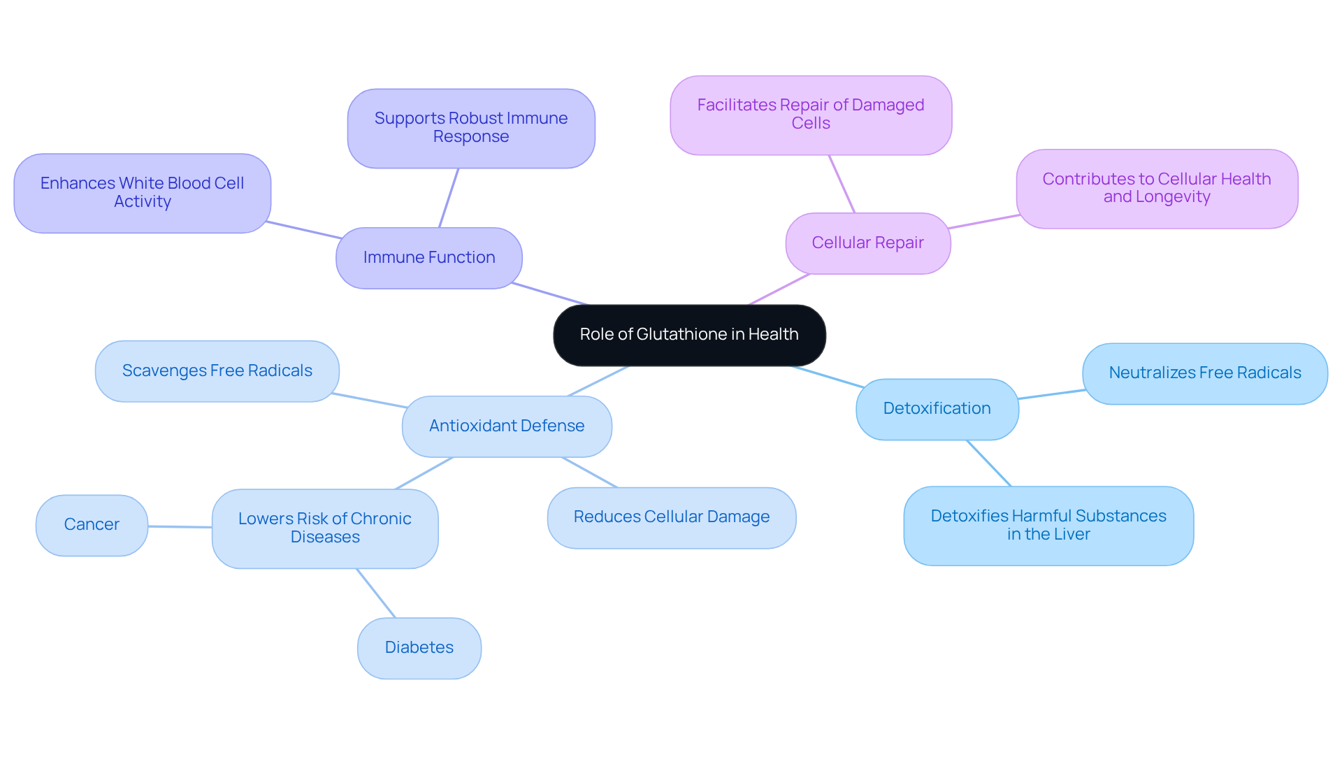 Start at the center with glutathione's role, then follow the branches to explore its various functions and how they contribute to your health. Start at the center with glutathione's role, then follow the branches to explore its various functions and how they contribute to your health.