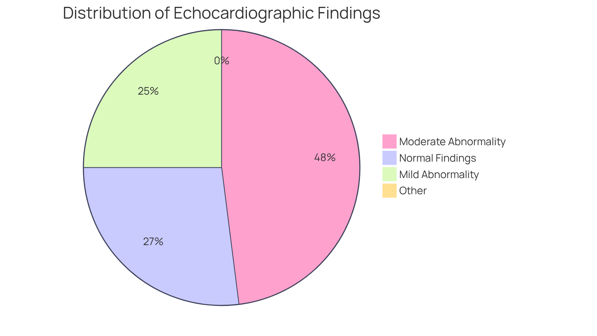 Example of Echocardiogram Report: Key Components and Insights – Careset.com
