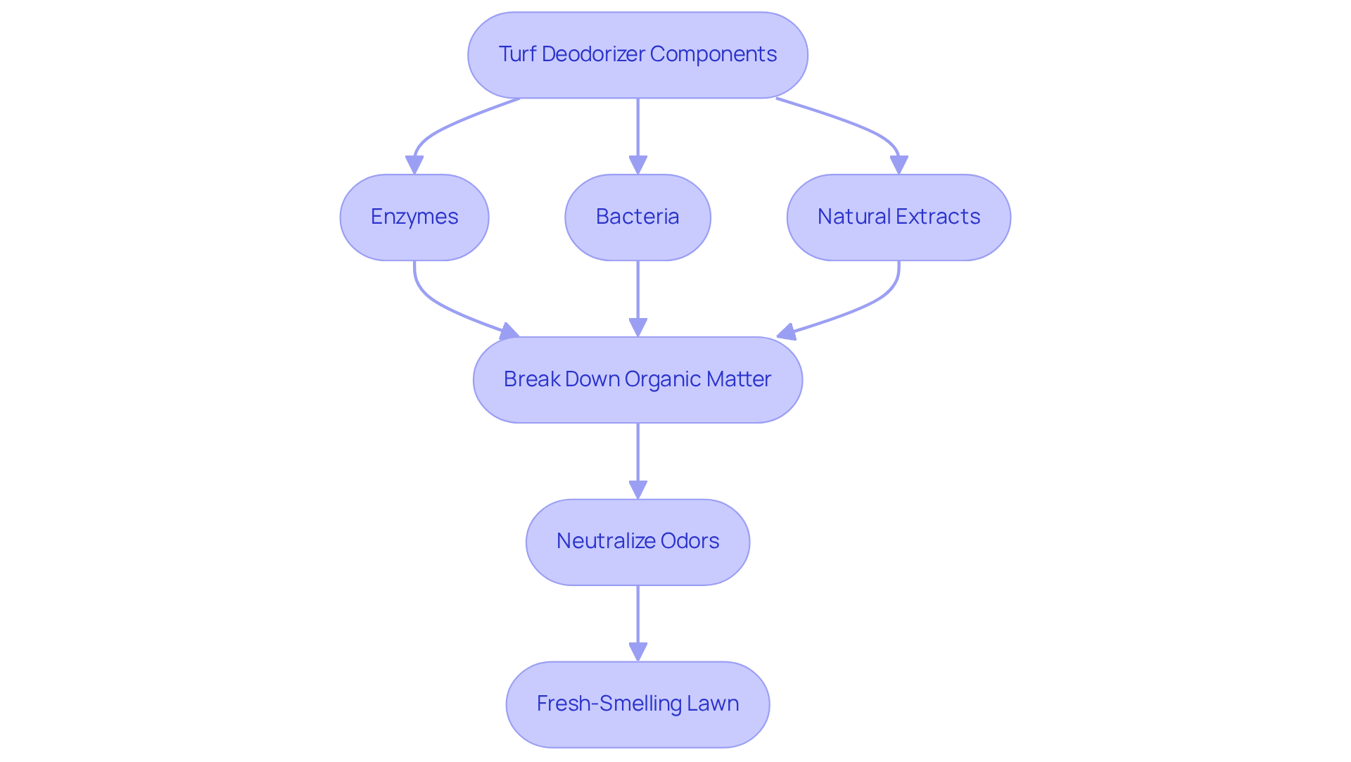 Follow the arrows to see how each component contributes to eliminating odors and creating a fresh lawn. Each step shows how the ingredients work together to achieve a clean and enjoyable outdoor space.
