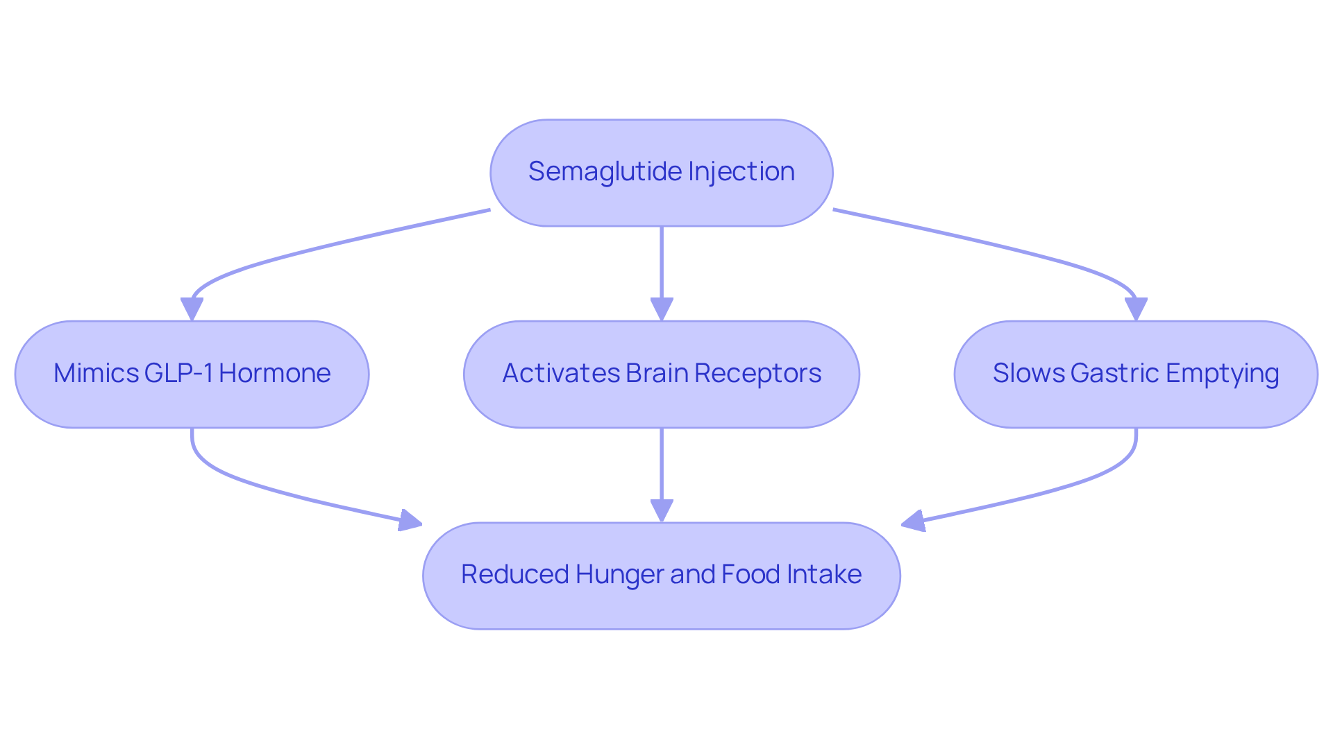 This flowchart illustrates how semaglutide helps with weight loss. It starts with the injection, showing how it mimics a hormone, activates brain signals, and slows down digestion, all leading to reduced hunger and food intake.