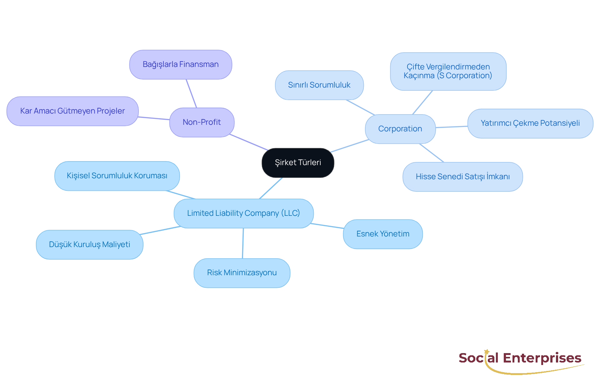 Merkezdeki başlık, tüm şirket türlerini kapsar. Dallar, her bir şirket türünü temsil eder ve alt başlıklar, o türün avantajlarını açıklar. Renkler, her bir şirket türünü ayırt etmeye yardımcı olur.