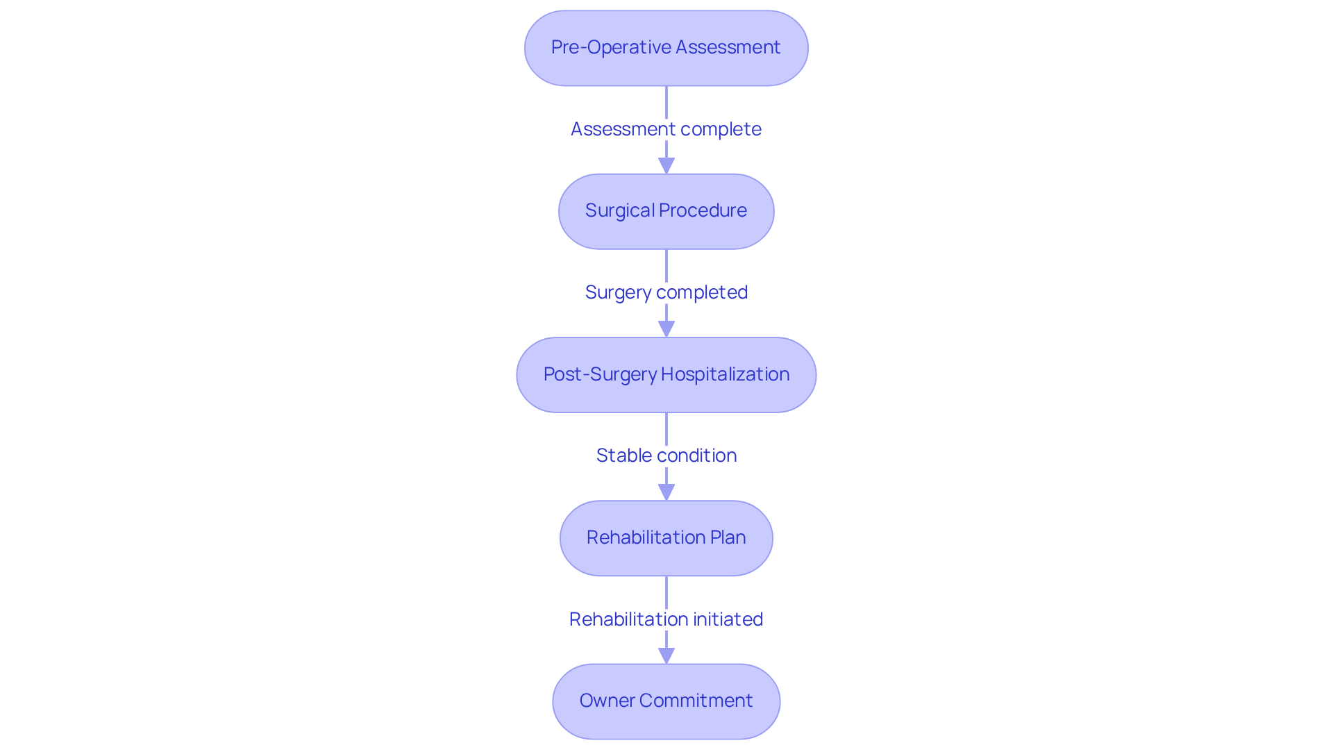 Each box represents a stage in the surgical process — follow the arrows to see how each step leads to the next, from assessment to recovery.