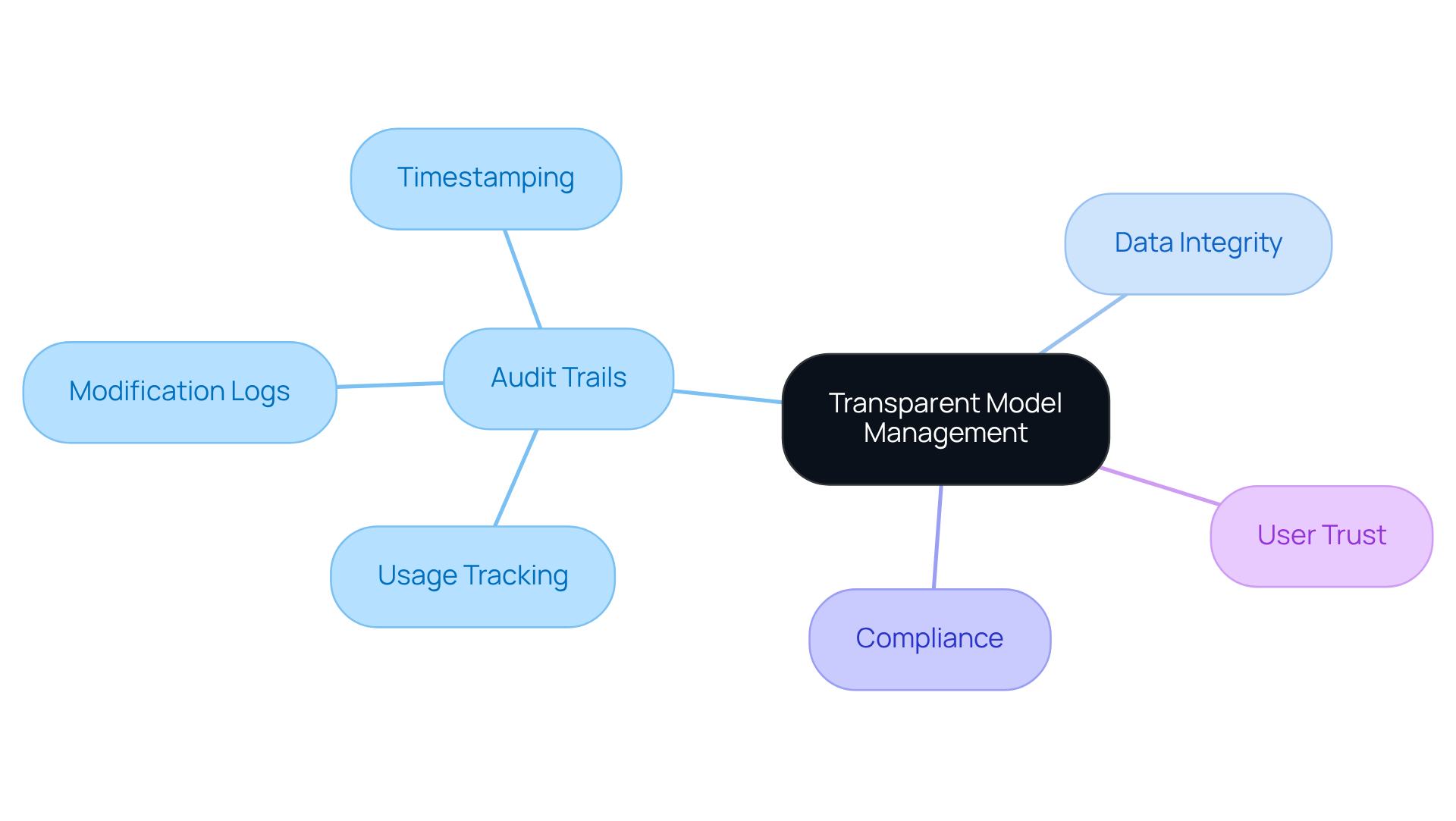 The central idea is about managing data transparently. Each branch represents a key aspect of this management, showing how they connect to ensure data integrity and security.