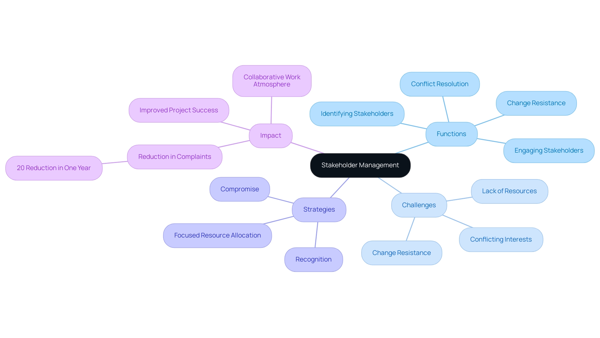 The central node represents the main theme of stakeholder management, with branches illustrating its functions, challenges faced, strategies employed, and the overall impact on organizational success.