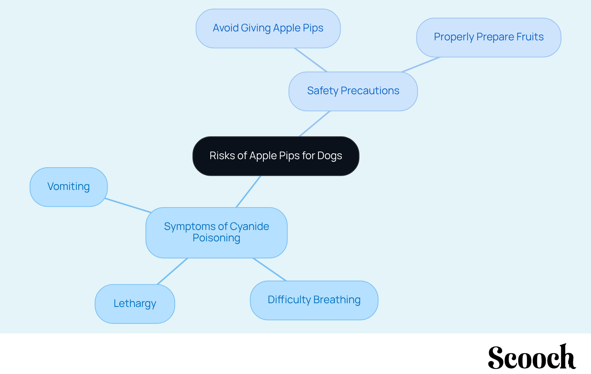 The center shows the main concern about apple pips, with branches leading to symptoms and safety tips. Each branch helps you see what to watch for and how to keep your dog safe. The center shows the main concern about apple pips, with branches leading to symptoms and safety tips. Each branch helps you see what to watch for and how to keep your dog safe.