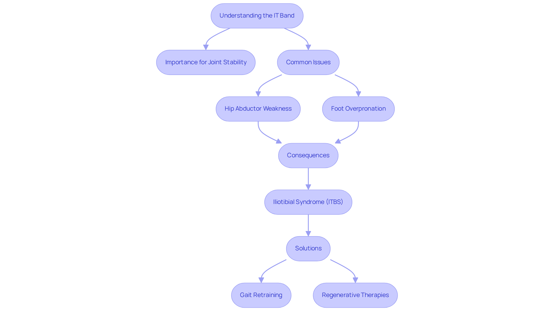 Where Is the IT Band? Understanding Its Role and Importance | RegenCore ...