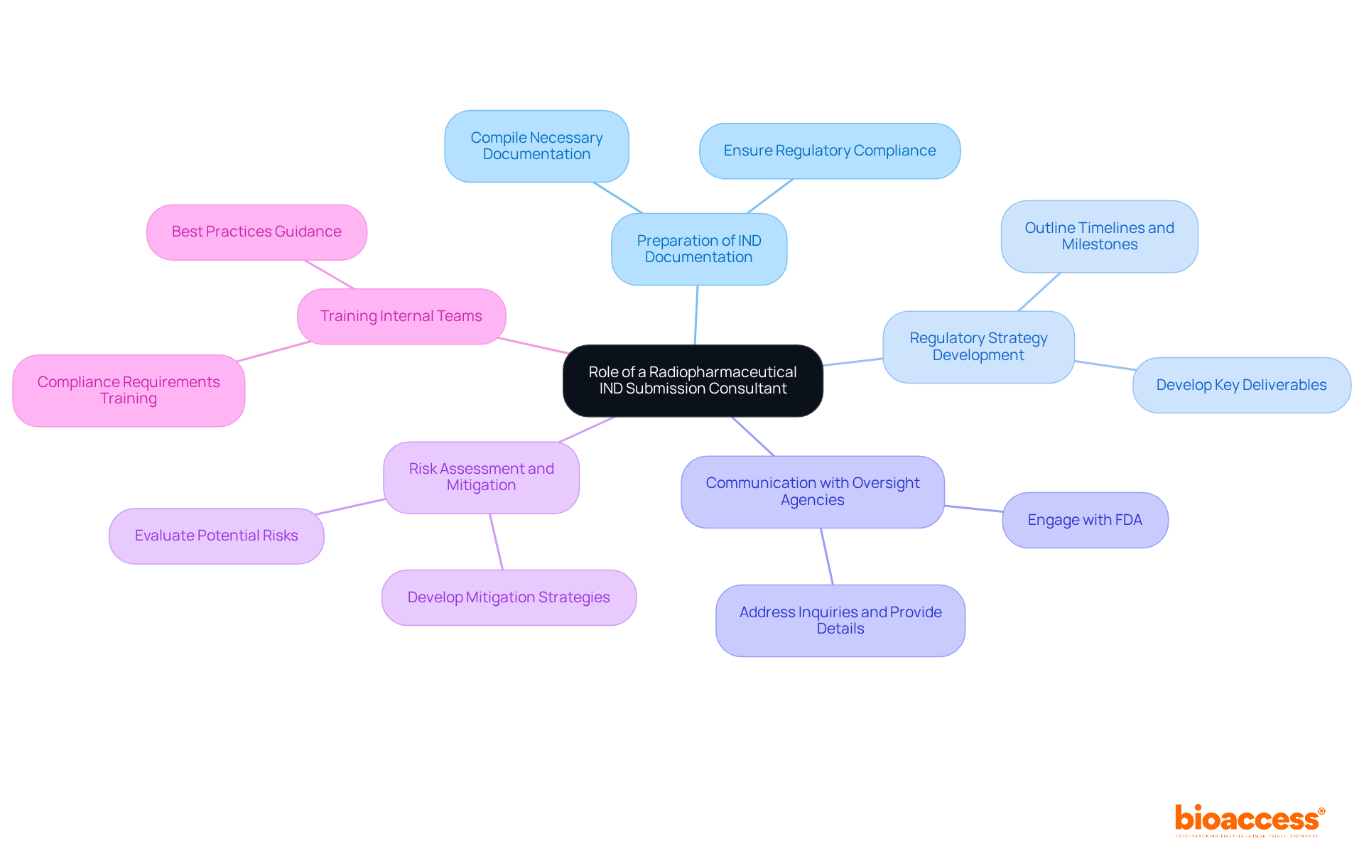 The central node represents the main role, while the branches show the key responsibilities. Each responsibility can be explored further to understand its significance in the IND submission process.