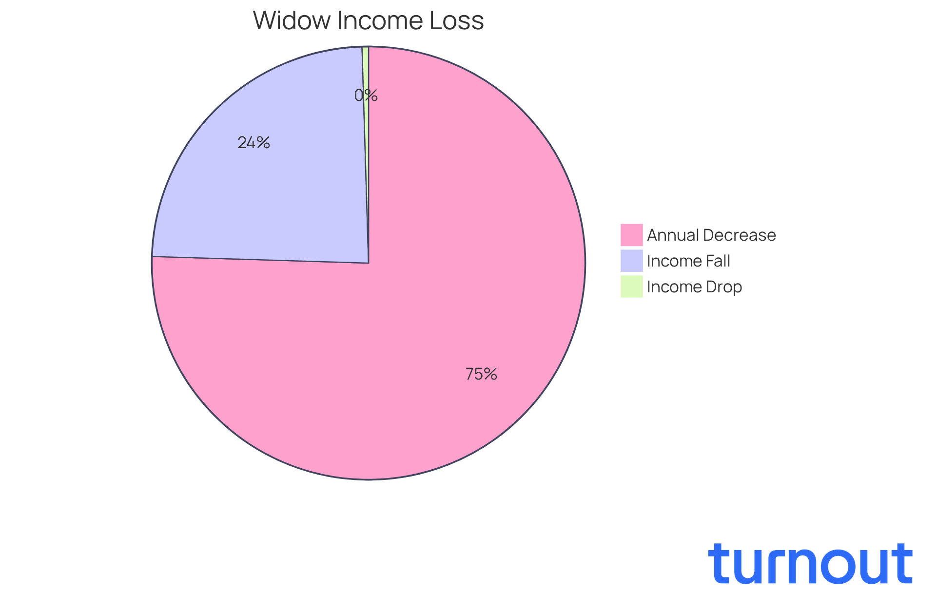 Each slice shows how widow benefits relate to income loss - the larger the slice, the more significant the financial impact on widows. Each slice shows how widow benefits relate to income loss - the larger the slice, the more significant the financial impact on widows.