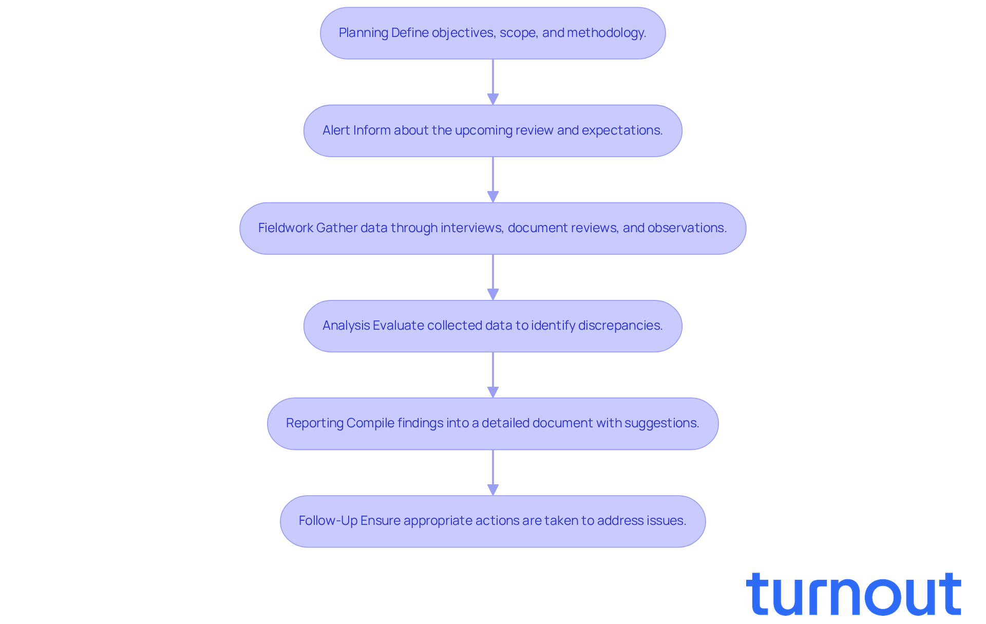Each box represents a step in the audit process. Follow the arrows to see how each step leads to the next, ensuring a thorough and transparent evaluation.