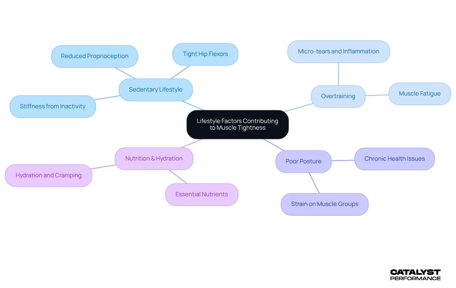 The central node represents the main topic, while the branches show different lifestyle factors that can lead to muscle tightness. Each sub-branch provides more detail on how these factors impact muscle health and what can be done to address them.