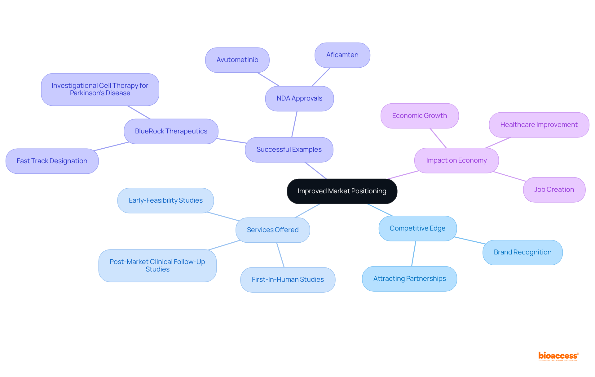 The main idea is at the center. Each branch shows a related concept or example, helping you understand how fast track designation can improve market positioning. The main idea is at the center. Each branch shows a related concept or example, helping you understand how fast track designation can improve market positioning.