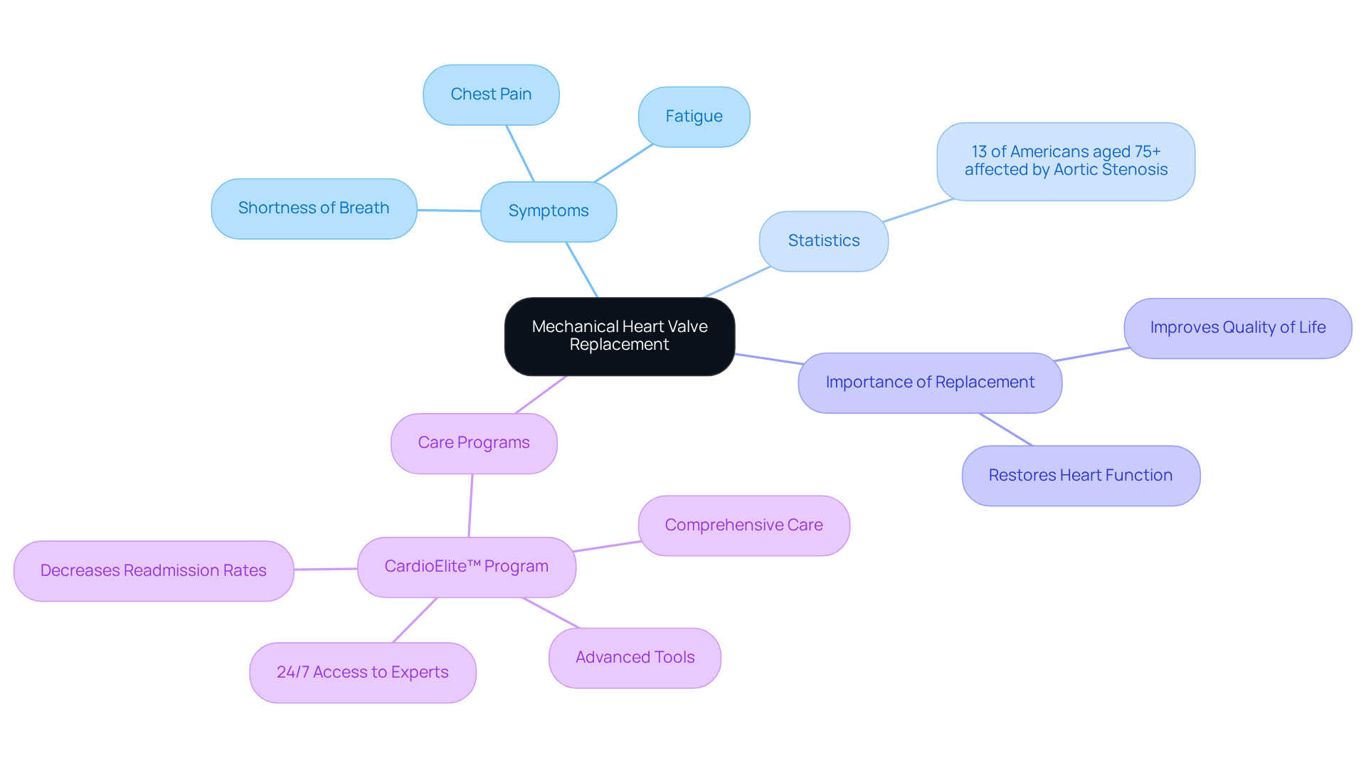 This mindmap starts with the main topic in the center and branches out to show related ideas. Each branch represents a different aspect of heart valve replacement, helping you see how symptoms, statistics, and care programs connect to the overall theme.