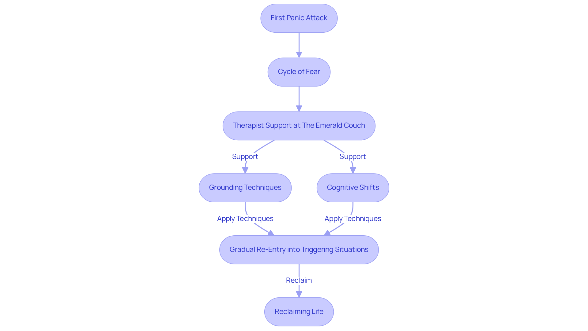 This flowchart shows the steps Zoe took to overcome her panic attacks. Each box represents a significant moment in her journey, from her first panic attack to reclaiming her life. Follow the arrows to see how each step connects to the next, illustrating the process of healing and support.