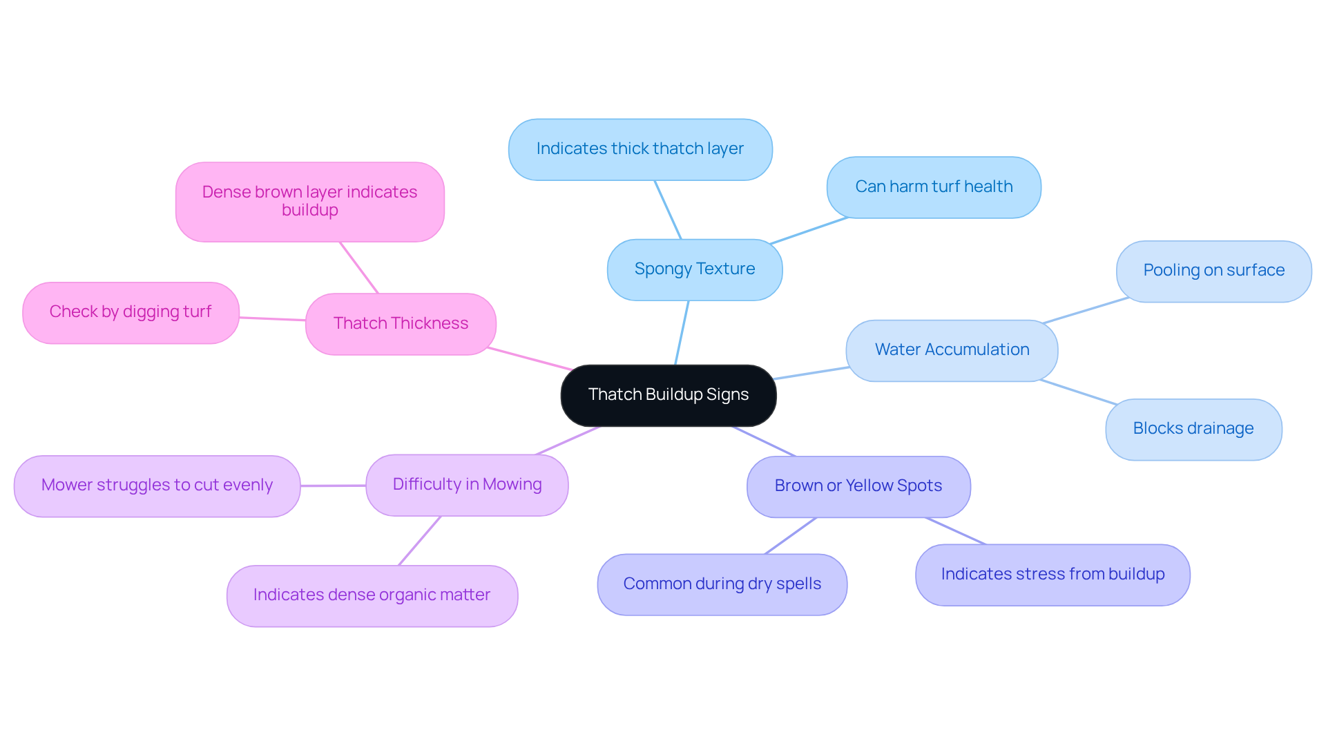The central node represents the main issue of thatch buildup, while each branch shows a specific sign to look for. Follow the branches to understand how each sign indicates potential problems with your lawn's health.