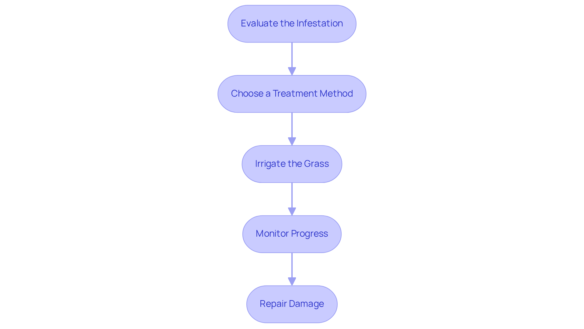 Follow the arrows to see how to tackle grubs in your lawn. Each box represents a step in the process, guiding you from assessing the problem to repairing any damage.