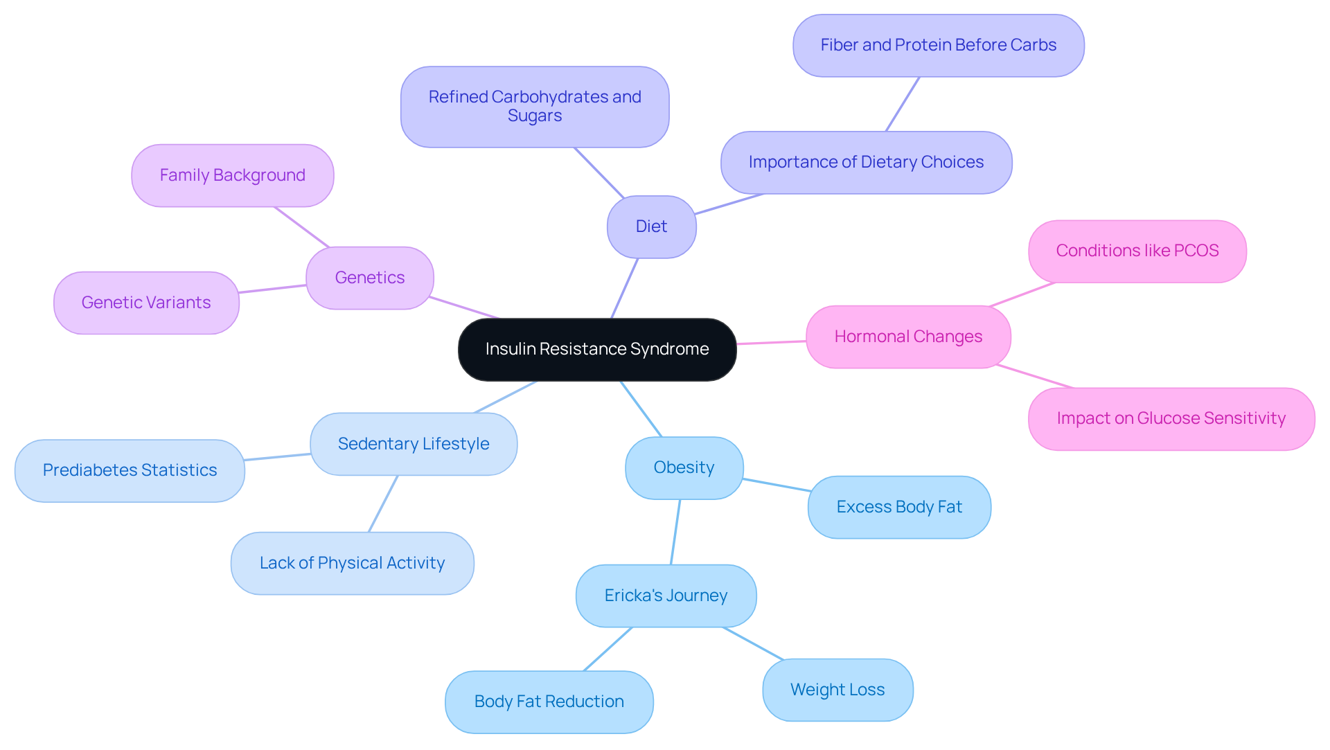 The central node represents insulin resistance syndrome, while the branches show the main contributing factors. Each sub-branch provides additional details or examples, helping you understand how these factors interact and influence overall health.
