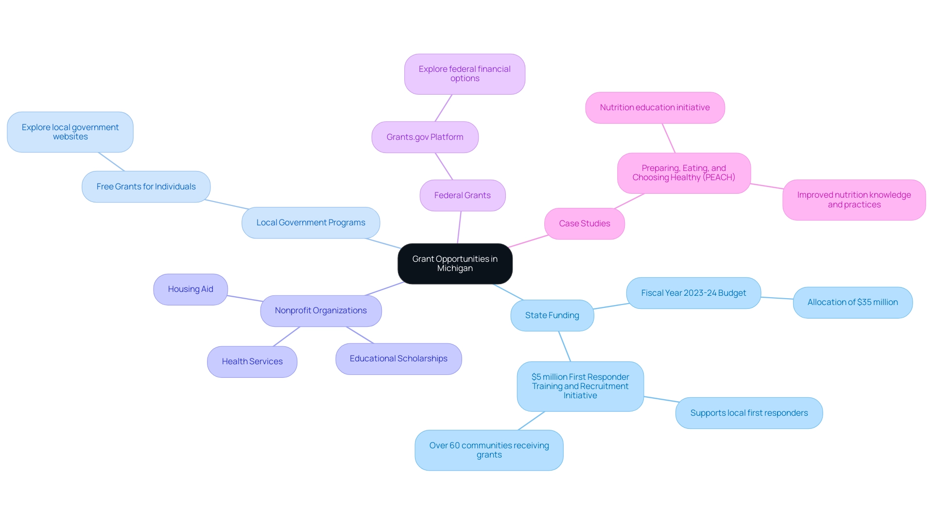 The central node represents the overall topic, with branches indicating different funding sources and sub-branches detailing specific initiatives or examples. The central node represents the overall topic, with branches indicating different funding sources and sub-branches detailing specific initiatives or examples.