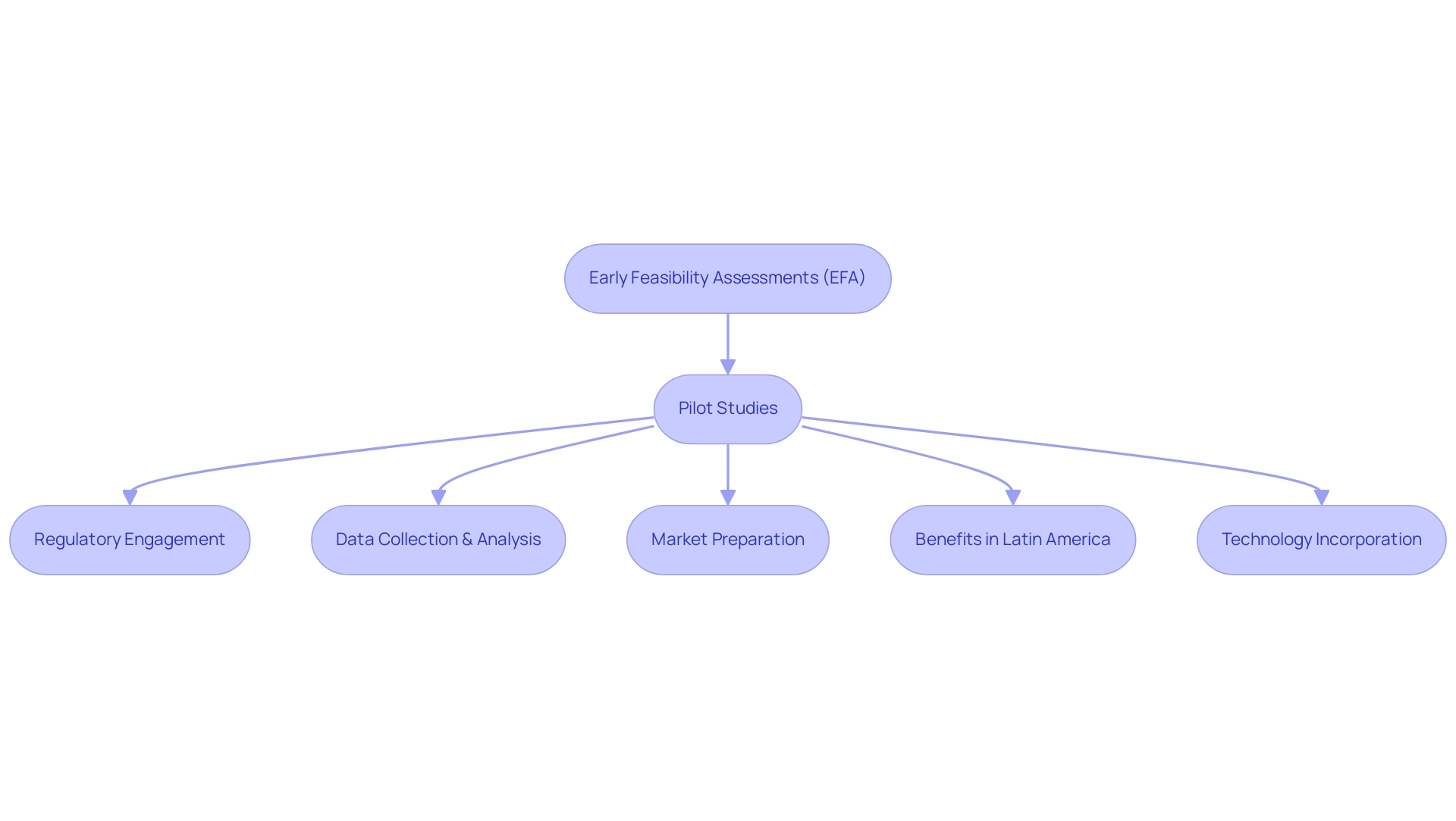 Each box represents a step in the process; arrows indicate the flow from EFA to pilot studies and further steps, with colors distinguishing different phases.