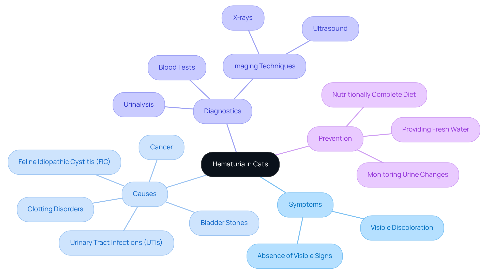 This mindmap starts with hematuria at the center, branching out to show related symptoms, causes, diagnostics, and prevention strategies. Each branch highlights important aspects of the condition, helping you see how they connect.