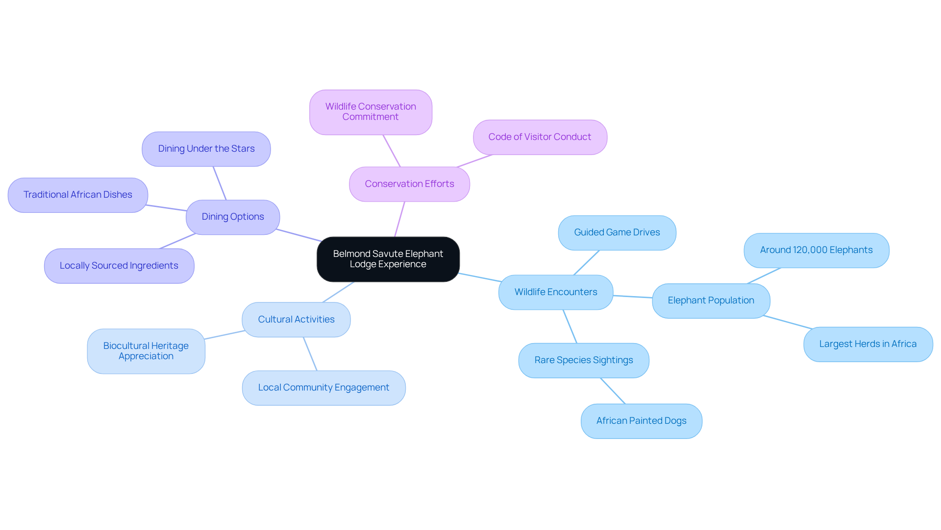 This mindmap illustrates the unique experiences offered at the lodge. Each branch represents a key aspect of your stay, showing how they connect to create a rich and immersive travel experience.