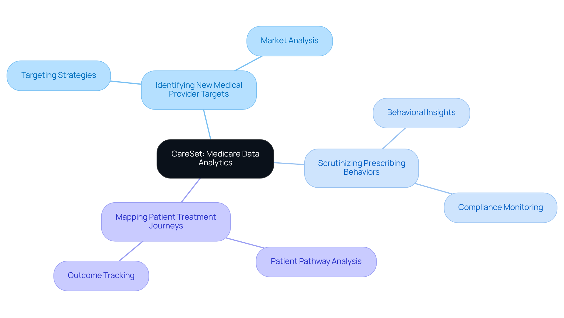 The central node represents CareSet's focus on Medicare analytics, while the branches show the key services they provide. Each service aims to improve healthcare outcomes and operational efficiency, making it easier for stakeholders to understand their offerings.