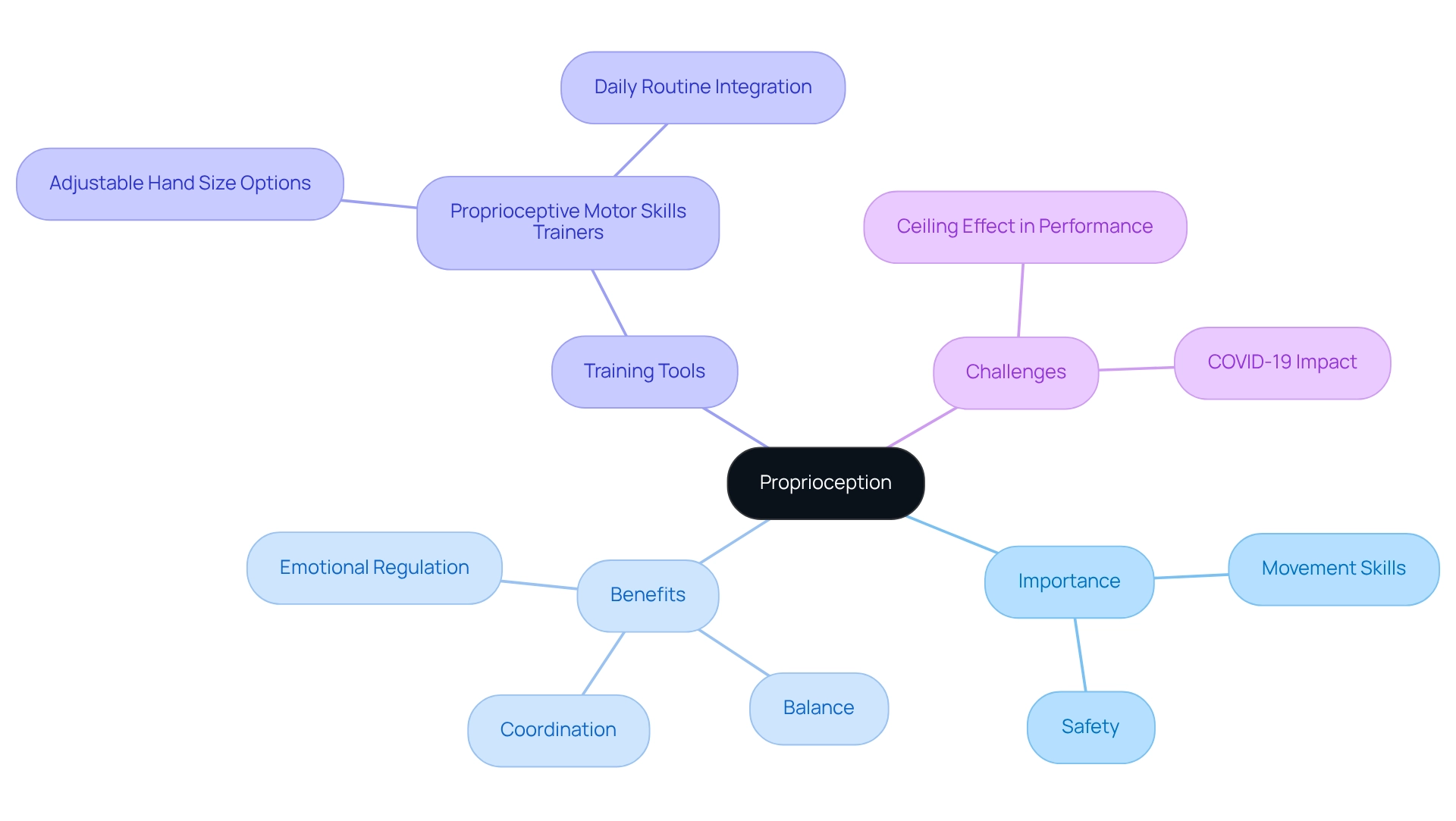 The central node represents proprioception, with branches illustrating its importance, benefits, training tools, and challenges.
