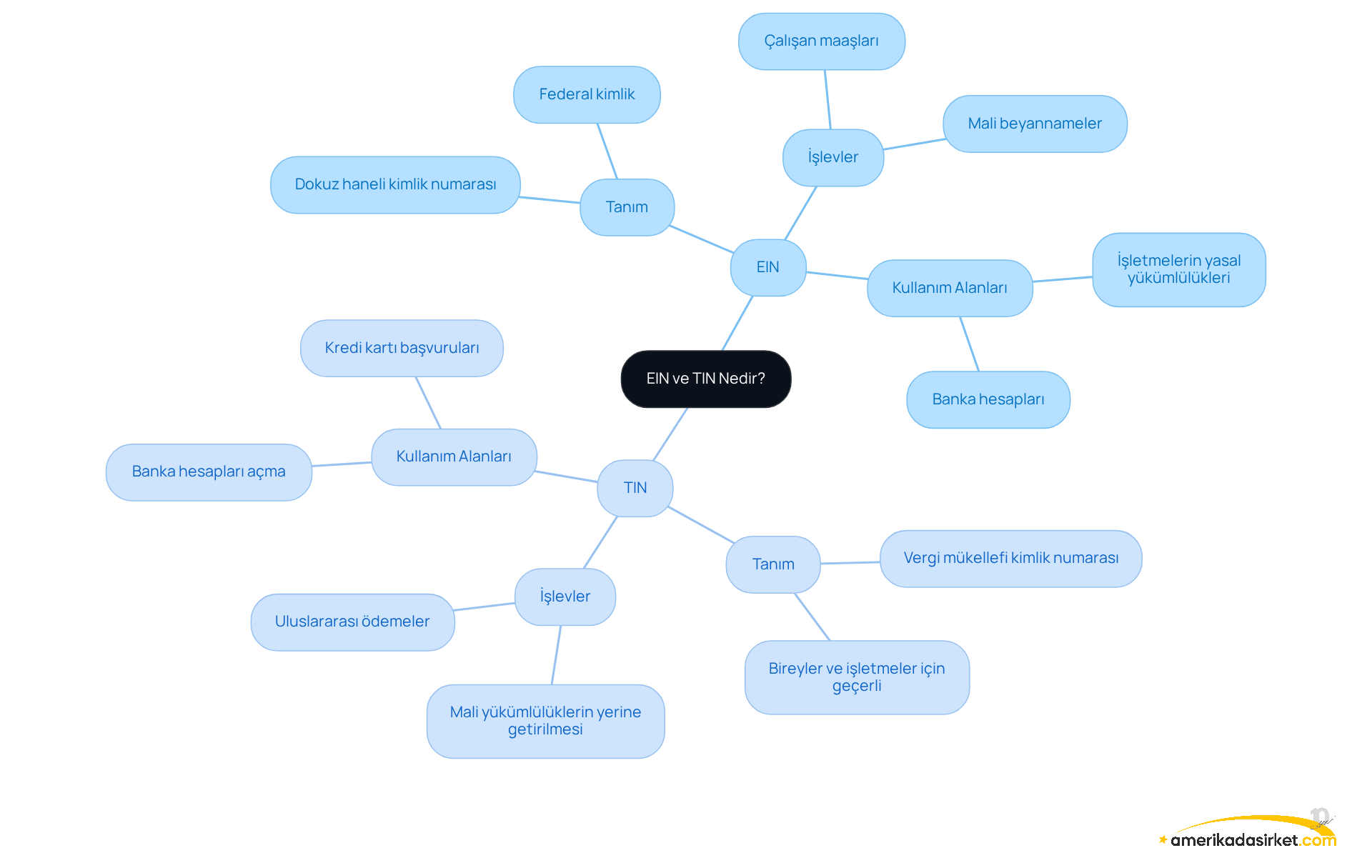 Merkezde EIN ve TIN'in tanımları var. Dallar, her bir kavramın işlevlerini ve kullanım alanlarını gösteriyor. Renkler, farklı kavramları ayırt etmenize yardımcı olacak.