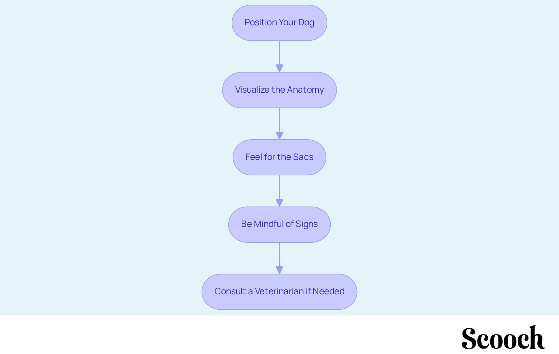How to Express Dog Anal Glands At Home - American Kennel Club