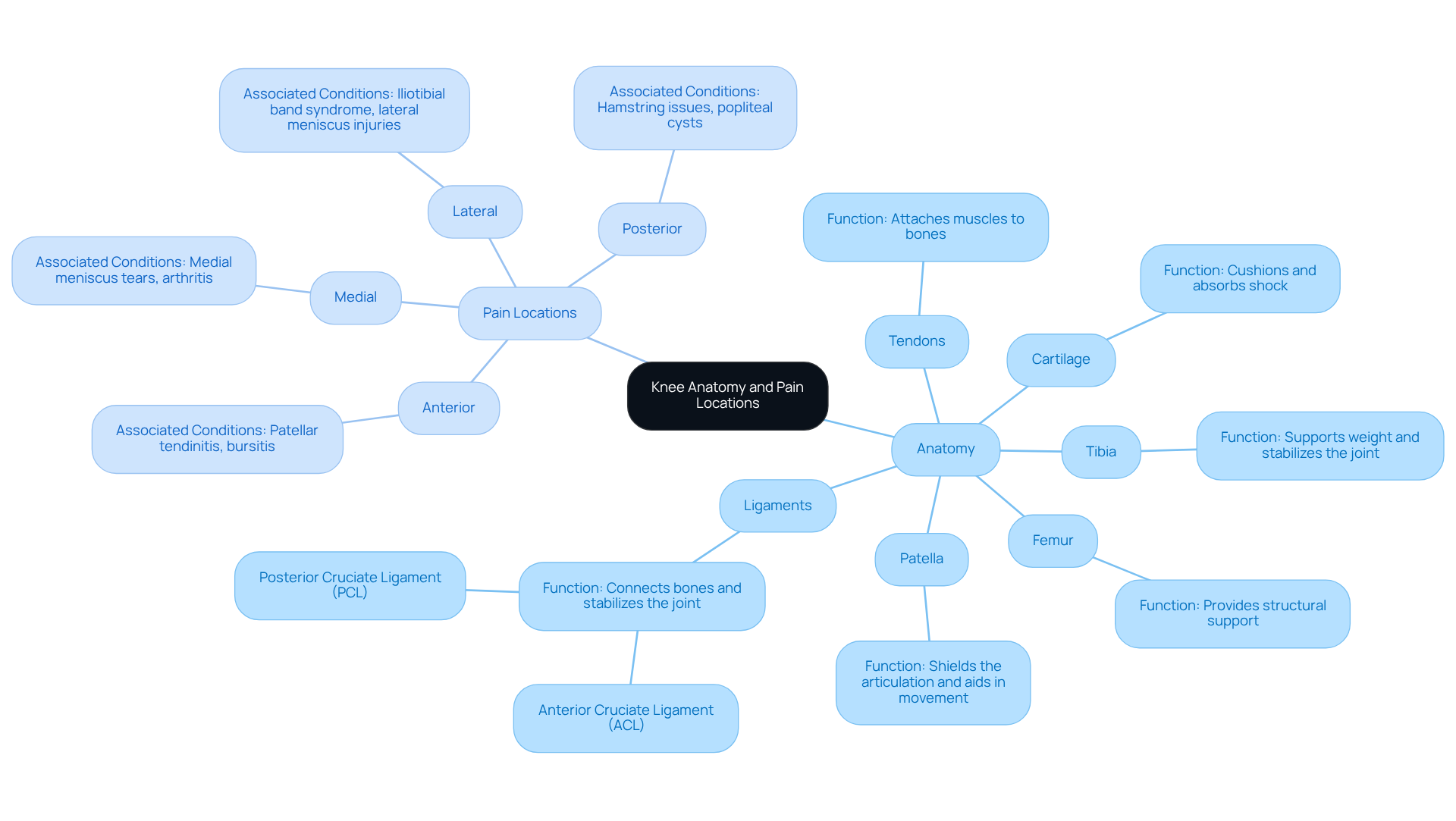 This mindmap starts with the knee's anatomy at the center, branching out to show how each part contributes to overall function. The pain locations are also connected, illustrating how different areas of discomfort relate to specific anatomical structures and conditions.
