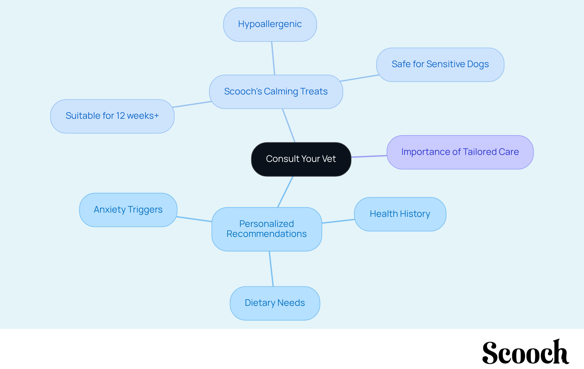 Start at the center with the main idea of consulting your vet. Each branch explores different aspects of the decision-making process, including what to consider and the benefits of a specific product.