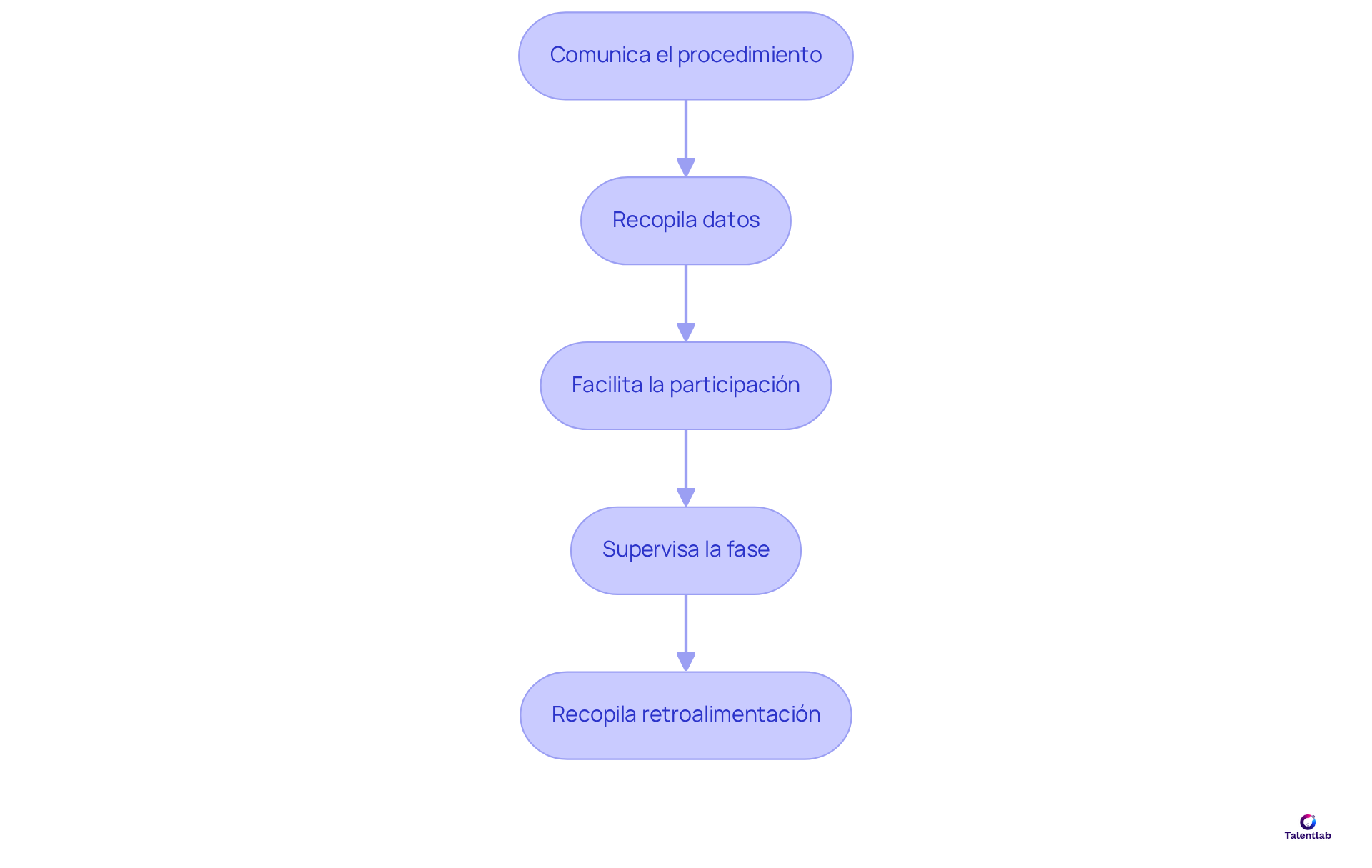 Cada cuadro representa un paso en el proceso de evaluación. Sigue las flechas para ver cómo cada etapa se conecta con la siguiente, desde la comunicación inicial hasta la recopilación de retroalimentación al final.