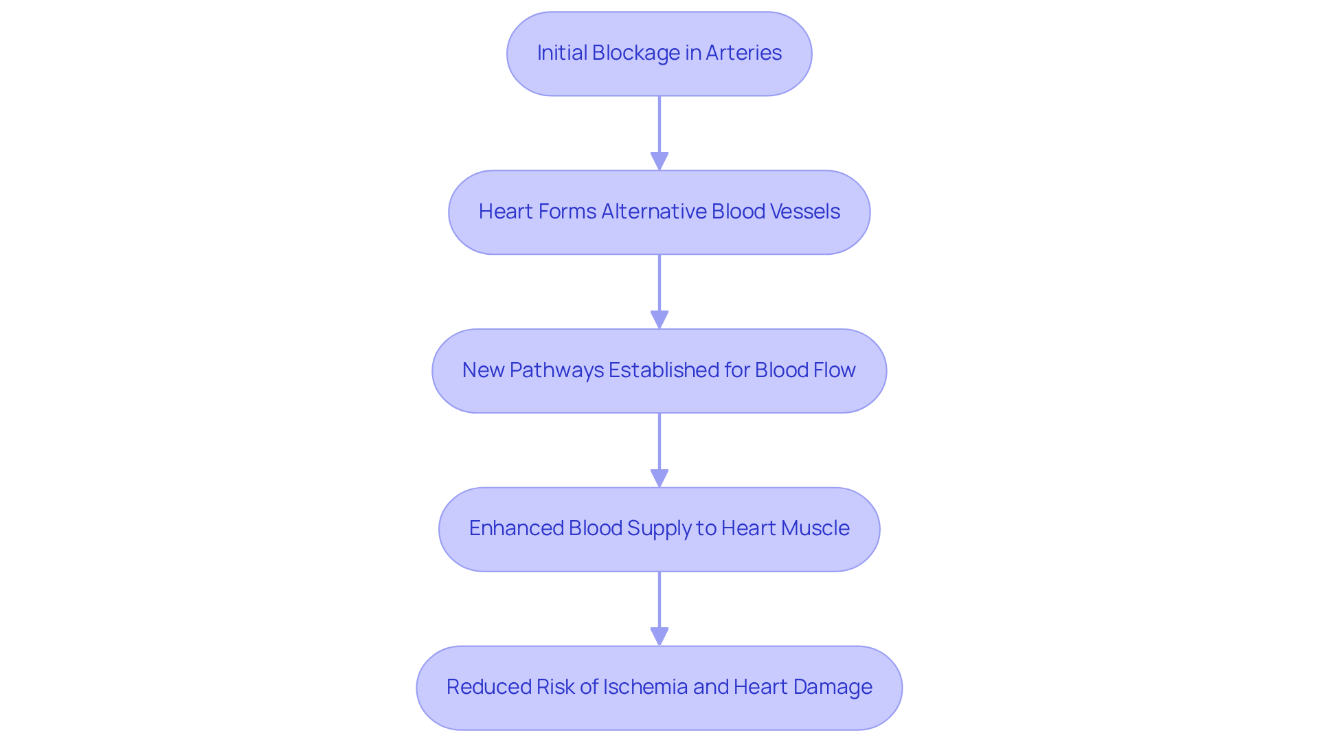 This flowchart illustrates how the heart adapts to blockages. Each step shows how the heart responds to challenges, from the initial blockage to the formation of new blood vessels that improve blood flow and reduce health risks.