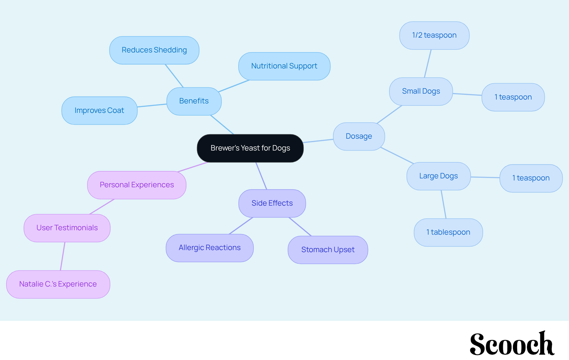 The center shows the main topic, and the branches represent different aspects of brewer's yeast. Each color-coded branch helps you quickly identify benefits, dosage guidelines, potential side effects, and real-life experiences from pet owners. The center shows the main topic, and the branches represent different aspects of brewer's yeast. Each color-coded branch helps you quickly identify benefits, dosage guidelines, potential side effects, and real-life experiences from pet owners.