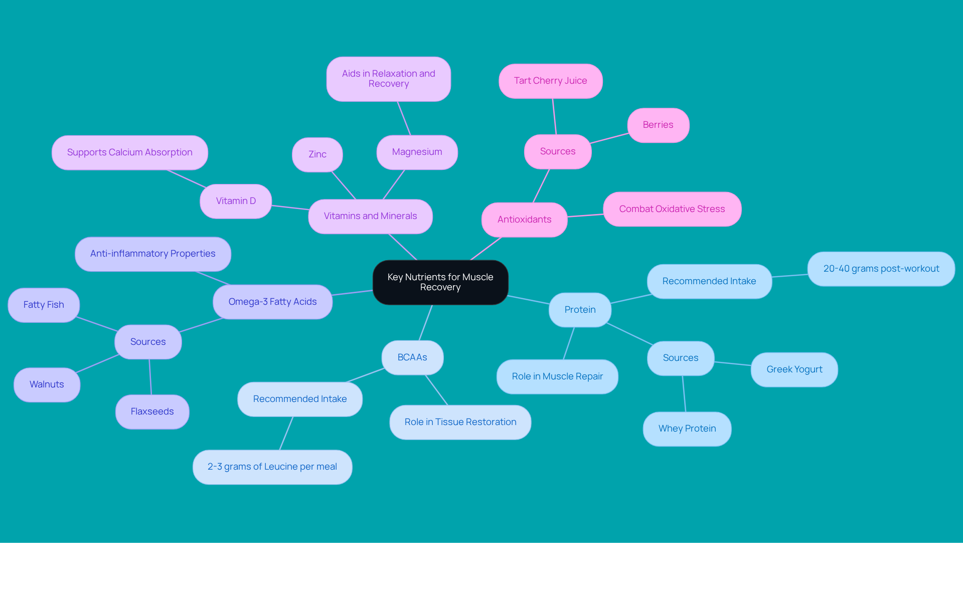 The central node represents the main topic of muscle recovery, while the branches show different nutrients that aid in this process. Each nutrient has its own benefits and recommendations, making it easy to understand how they contribute to recovery.