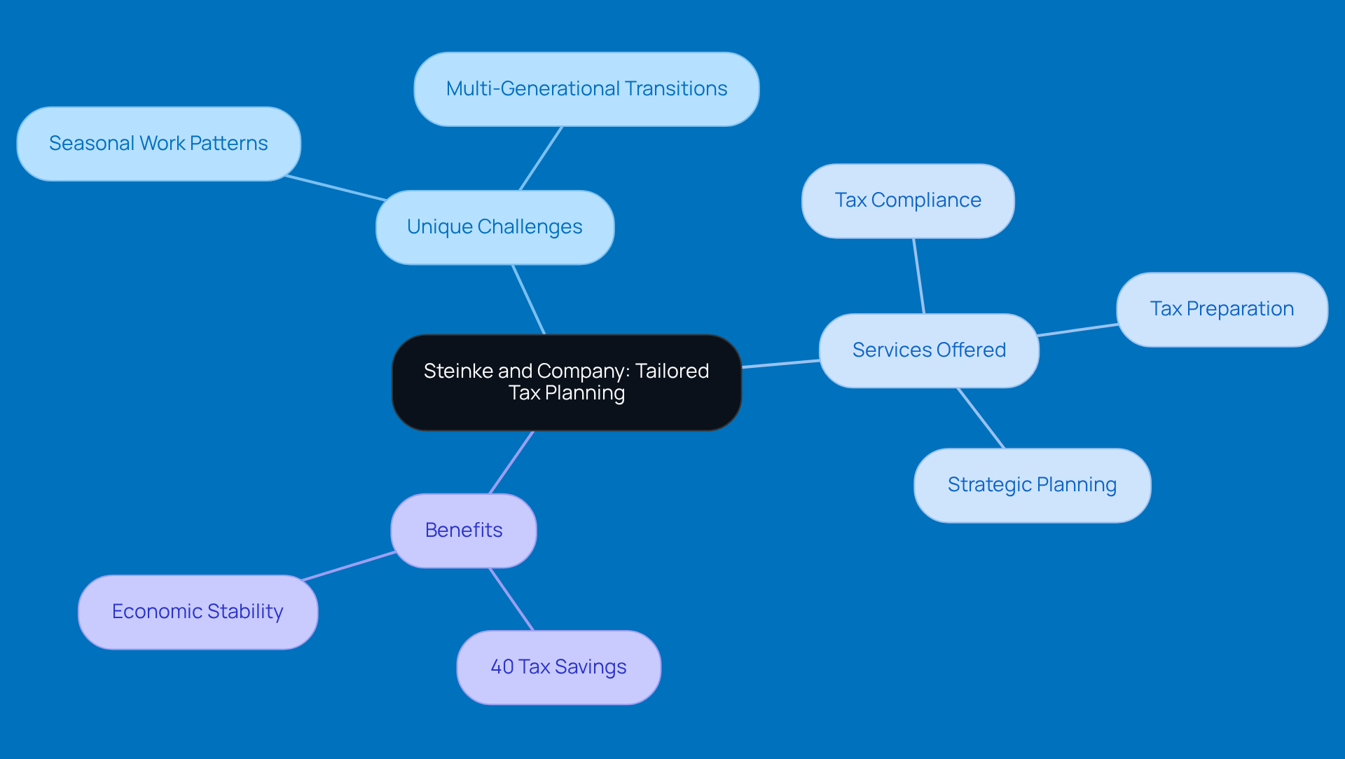The center represents Steinke and Company's focus on tax planning. The branches show the challenges rural businesses face, the services provided to address those challenges, and the benefits of effective tax planning.