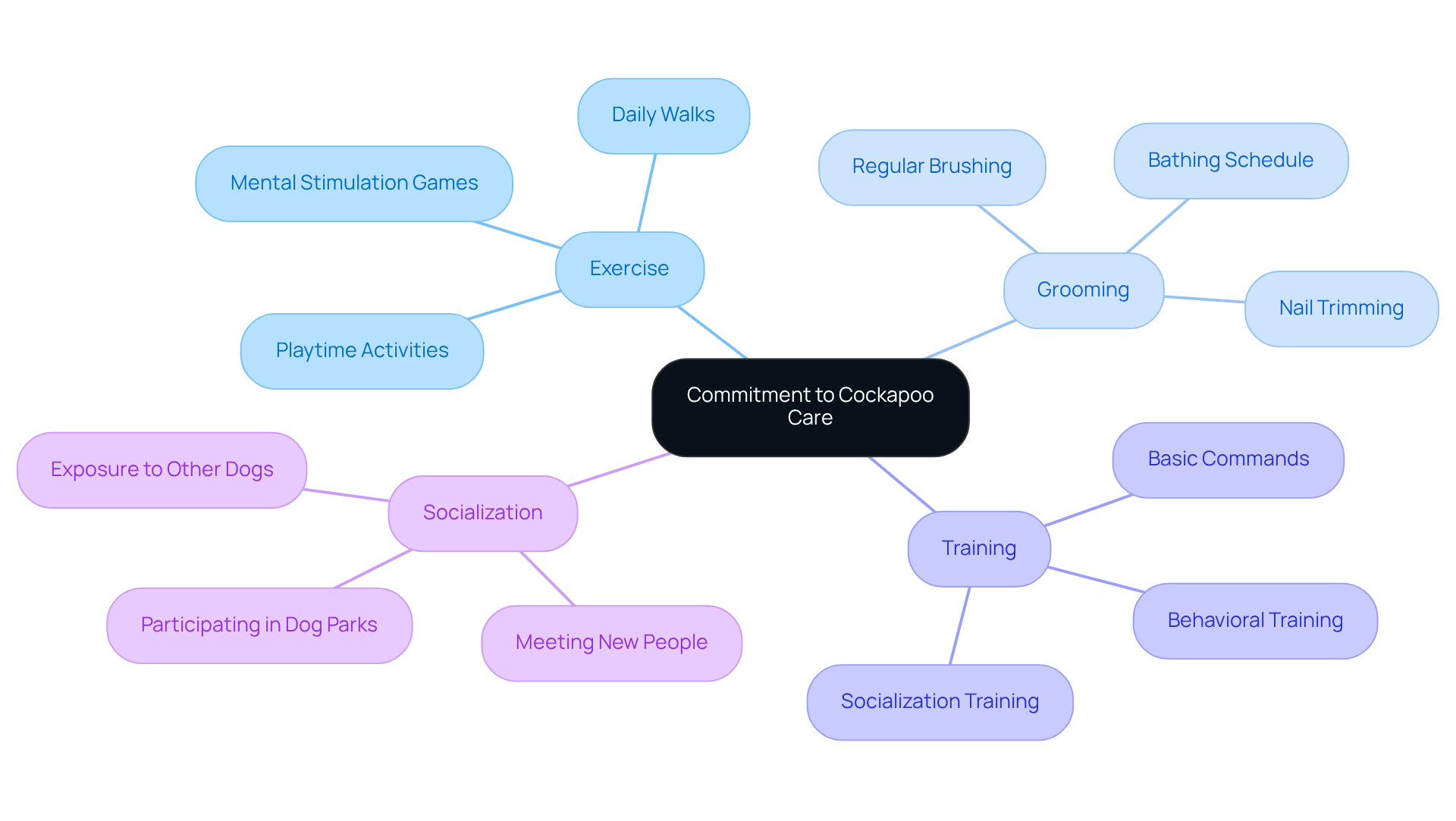 At the center is the commitment to care for a Cockapoo. The branches show key areas of responsibility. Each color represents a different category of care, helping you see what you need to consider when bringing a Cockapoo into your home.