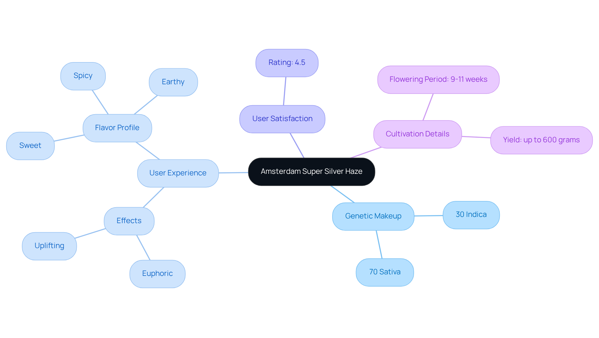 This mindmap shows the key features of the Amsterdam Super Silver Haze strain. Start at the center to learn about its genetic makeup, then explore how it affects users, its popularity rating, and what to expect when growing it. This mindmap shows the key features of the Amsterdam Super Silver Haze strain. Start at the center to learn about its genetic makeup, then explore how it affects users, its popularity rating, and what to expect when growing it.