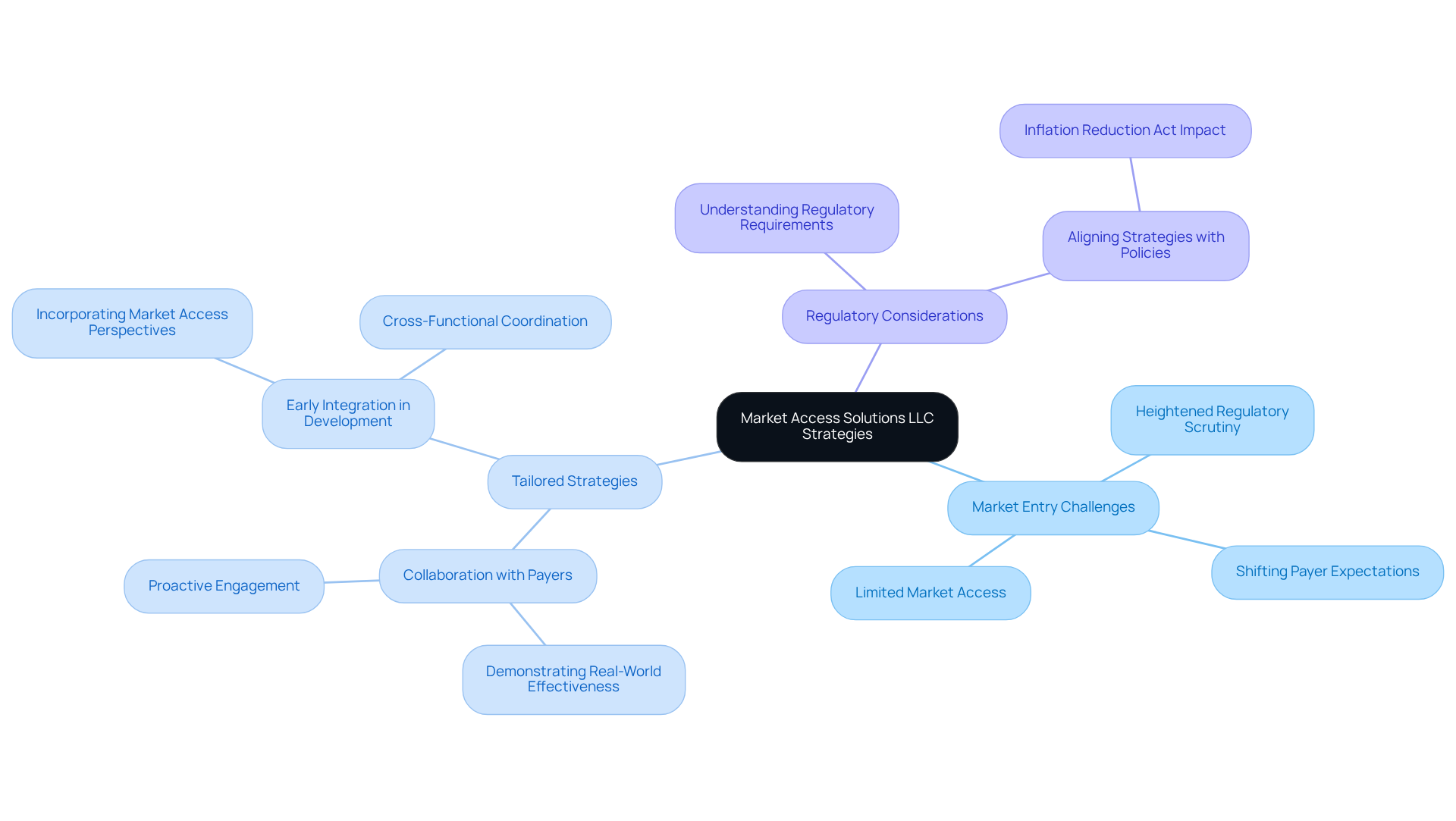 The central node represents the overall strategy, while branches show specific challenges and methods. Each color-coded branch helps you understand how different strategies connect to the main goal of successful market access.